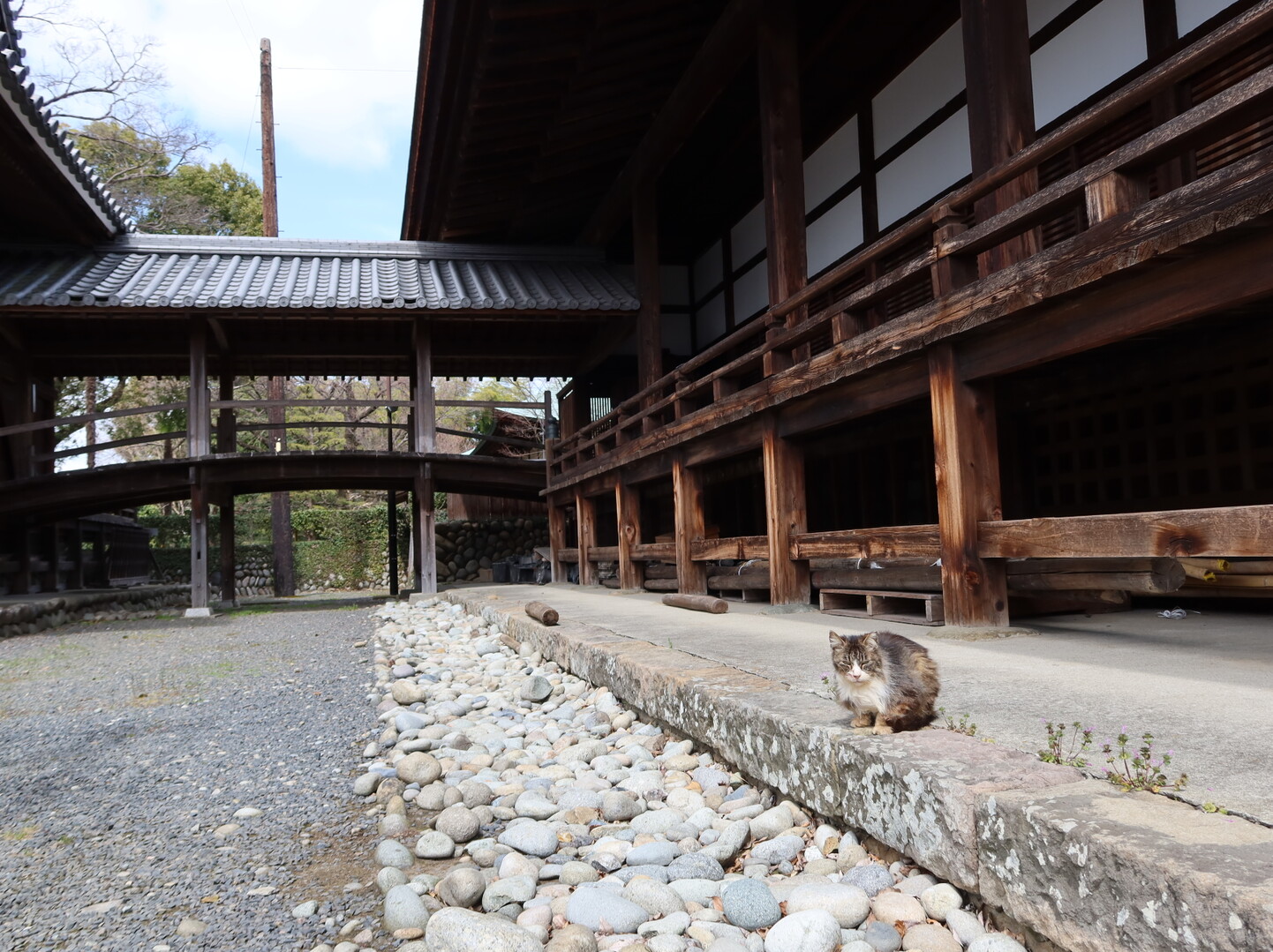 ハル活 / k3さんの伊木山（夕暮富士）の活動データ | YAMAP / ヤマップ