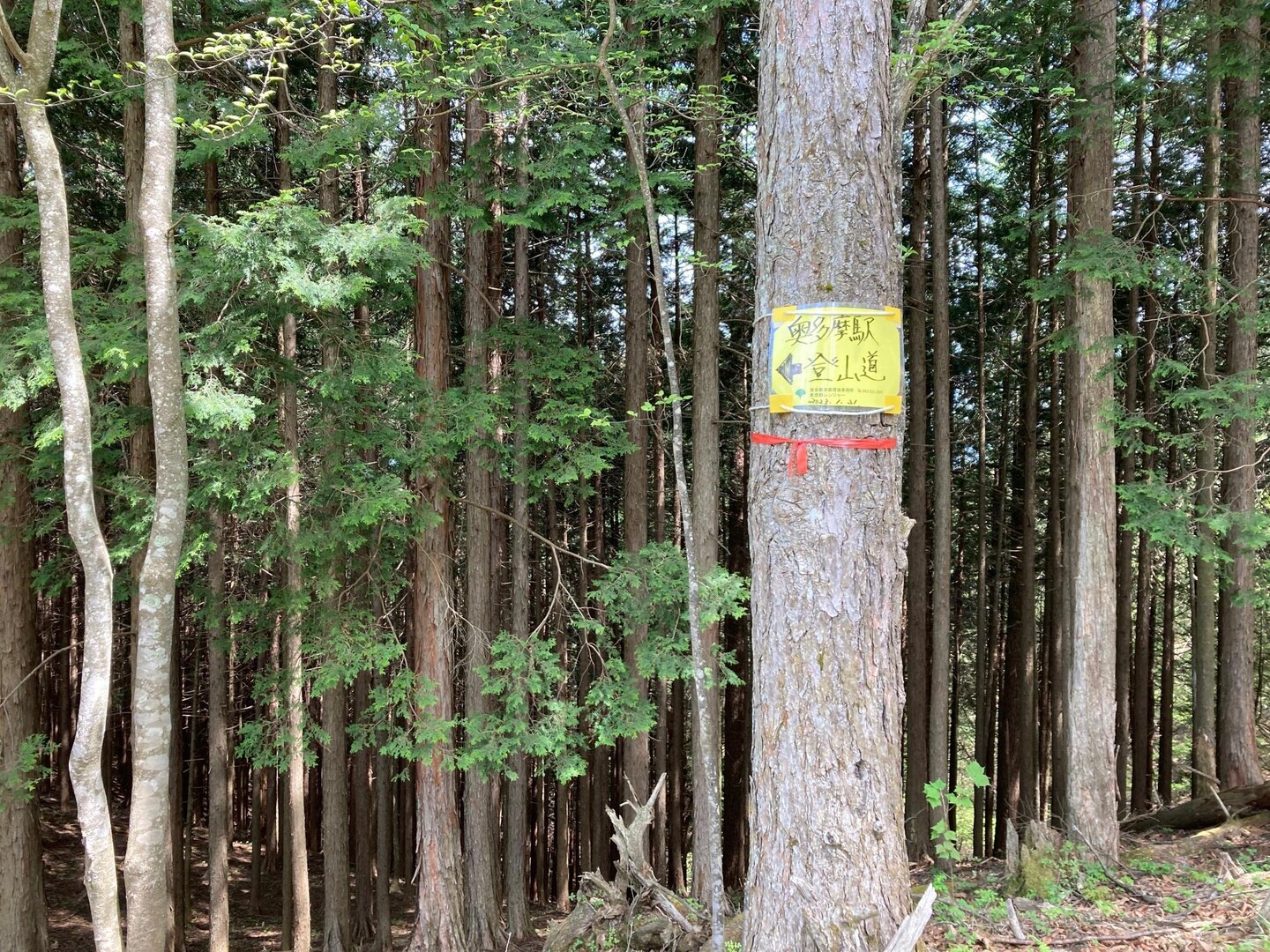 ともさんの投稿したフィールドメモ | YAMAP / ヤマップ