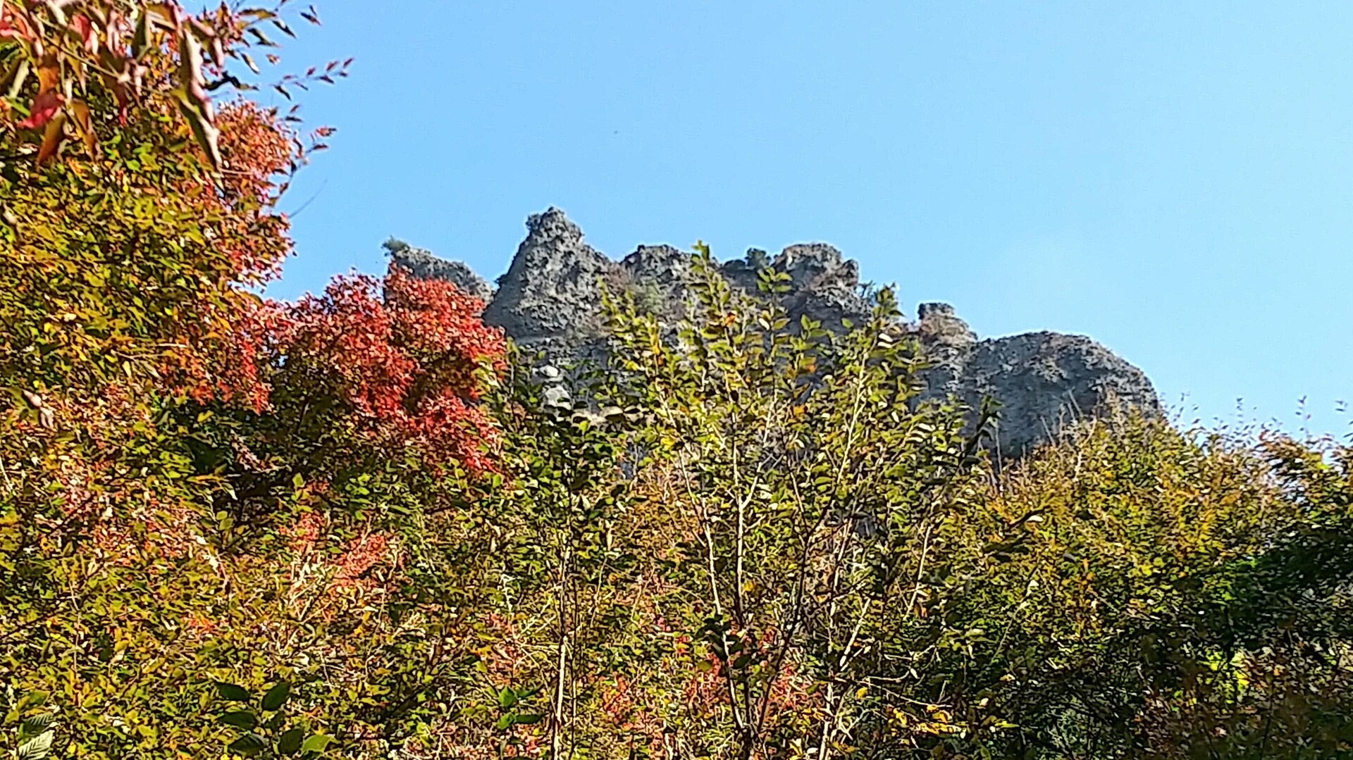 小豆島の三笠山を散策 / かみうばこさんの小豆島・星ヶ城山・皇踏山の活動データ | YAMAP / ヤマップ