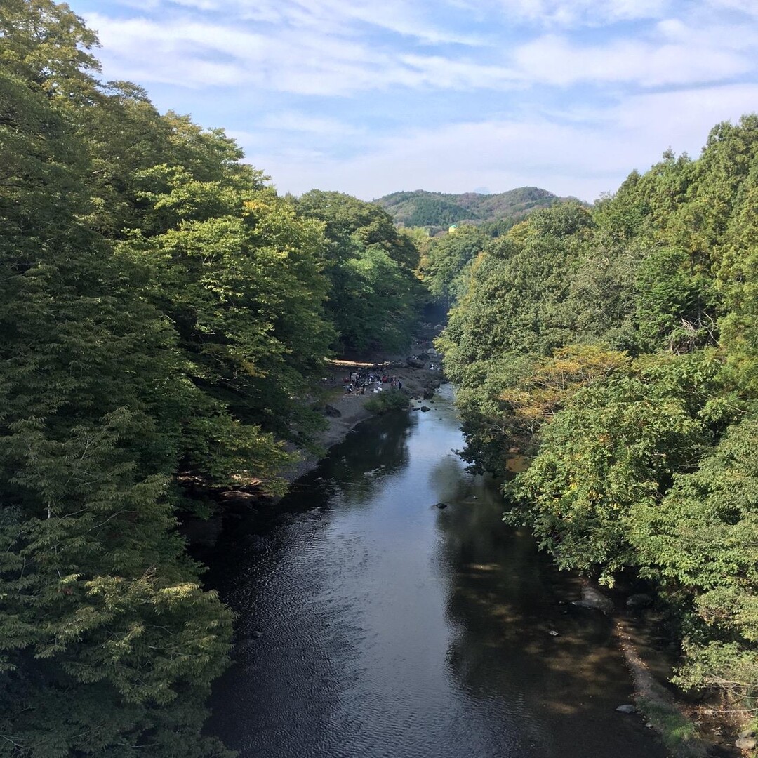 22.10 飯能ハイク / rok[toto]さんのウォーキングの活動データ | YAMAP / ヤマップ