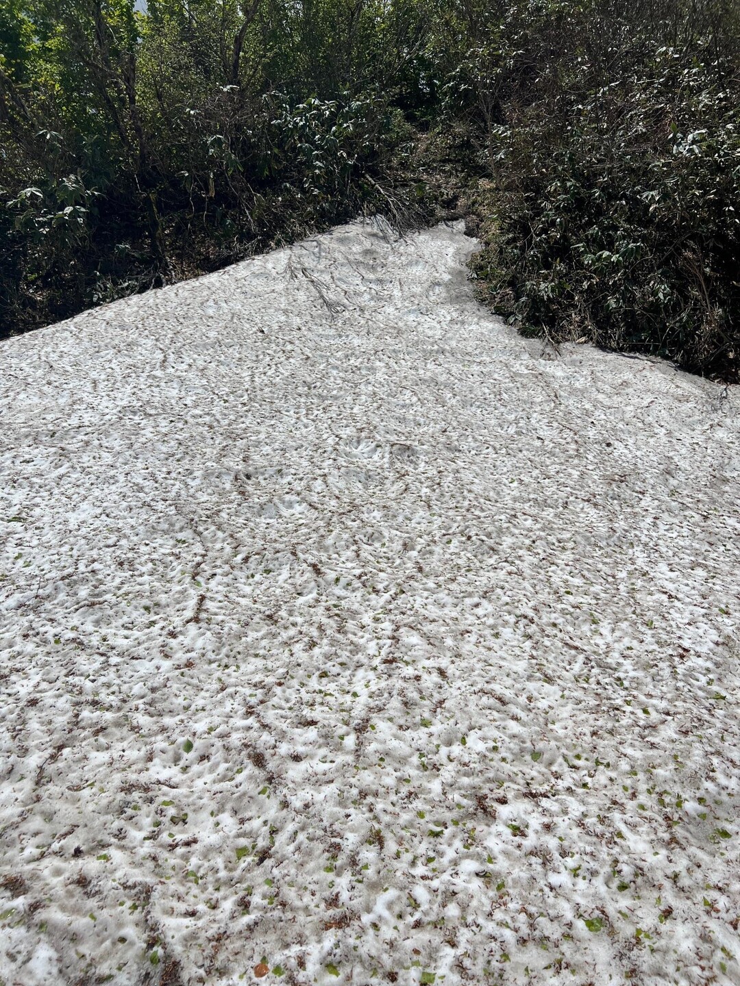 MOMOさんの投稿したフィールドメモ | YAMAP / ヤマップ