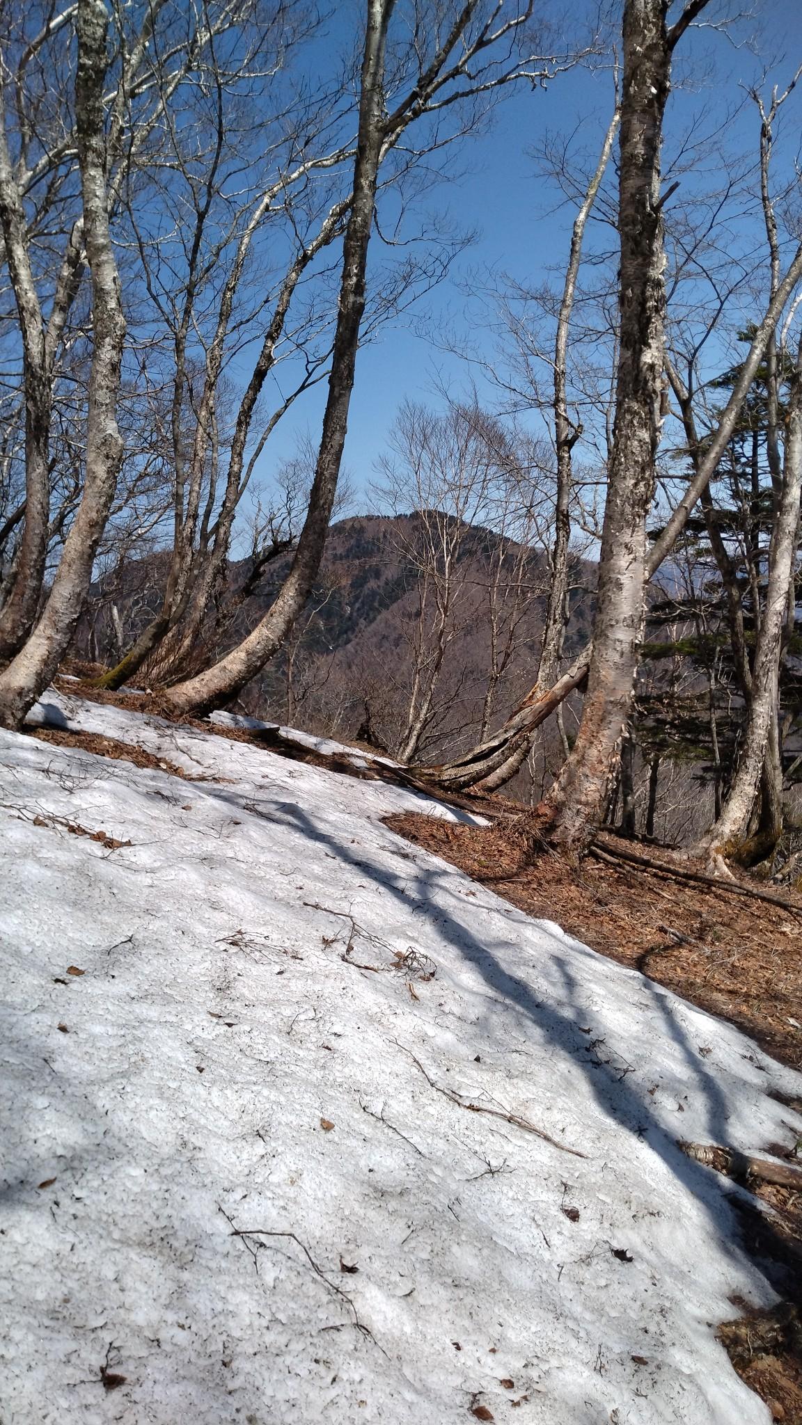 大入道・剣ヶ峰 / type52さんの新湯富士（塩原富士山）・前黒山の活動データ | YAMAP / ヤマップ