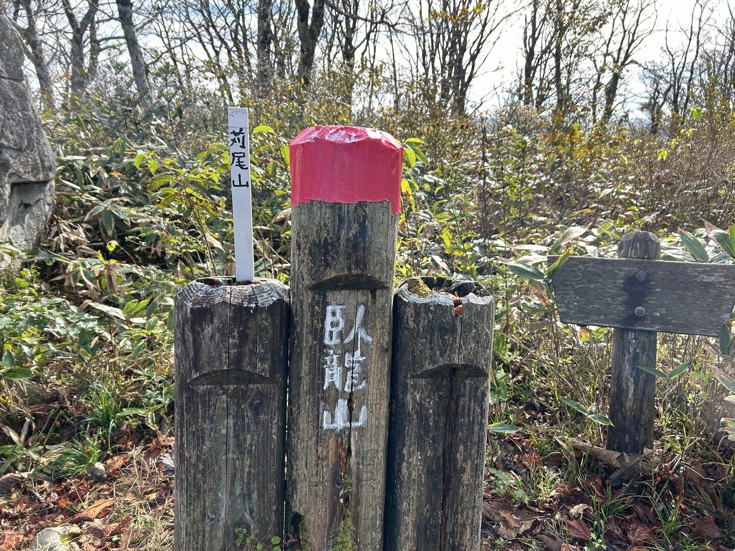 遠征の帰りに臥龍山（刈尾山）へ / al (アル)さんの臥龍山（刈尾山）・掛頭山の活動データ | YAMAP / ヤマップ