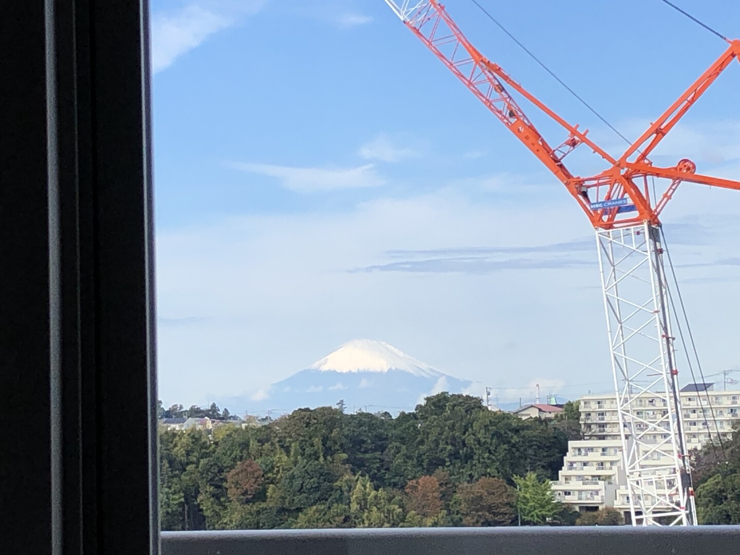 先週の日曜日、家族とランチに行って転んで... / kimiさんのモーメント | YAMAP / ヤマップ