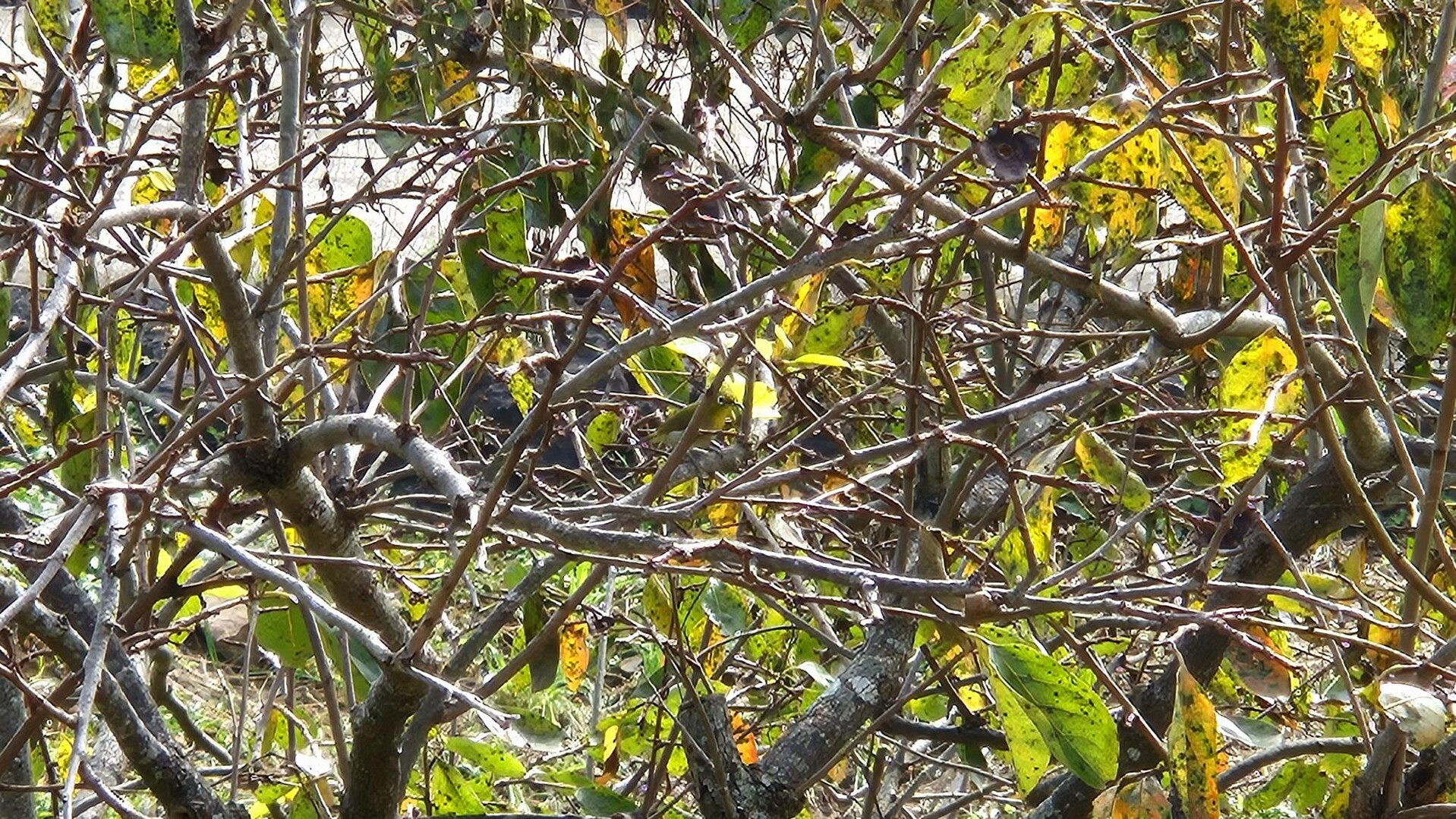 ちょっと息抜きしませんか？😁 この中... / 3104さんのモーメント | YAMAP / ヤマップ