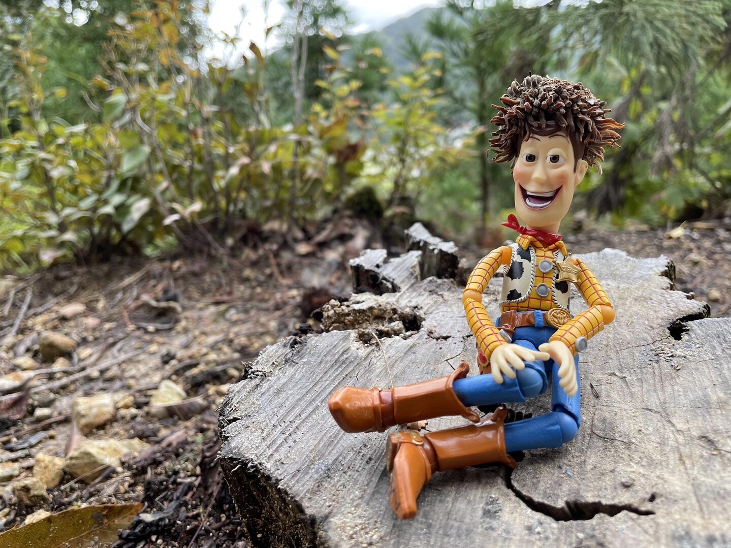 弱P👊弱K🦶昇竜拳 / YASU-BOWさんの大坂山・龍神山の活動データ | YAMAP / ヤマップ