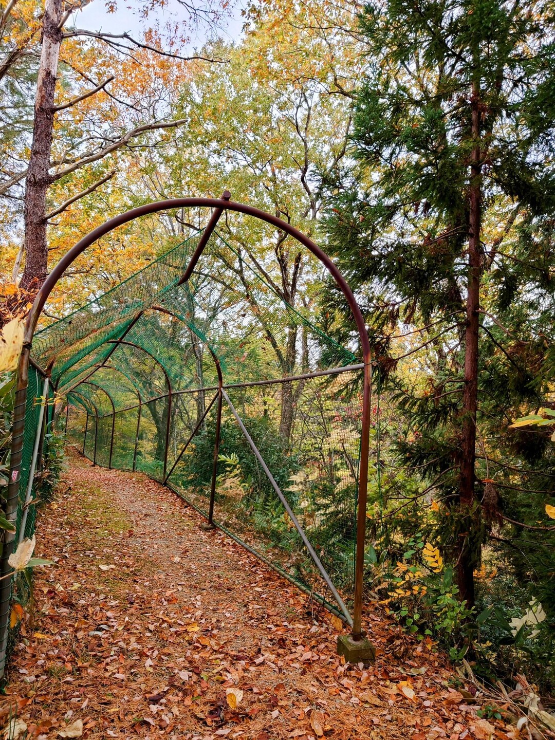 ほんの少し散策🤠 / stさんのモーメント | YAMAP / ヤマップ