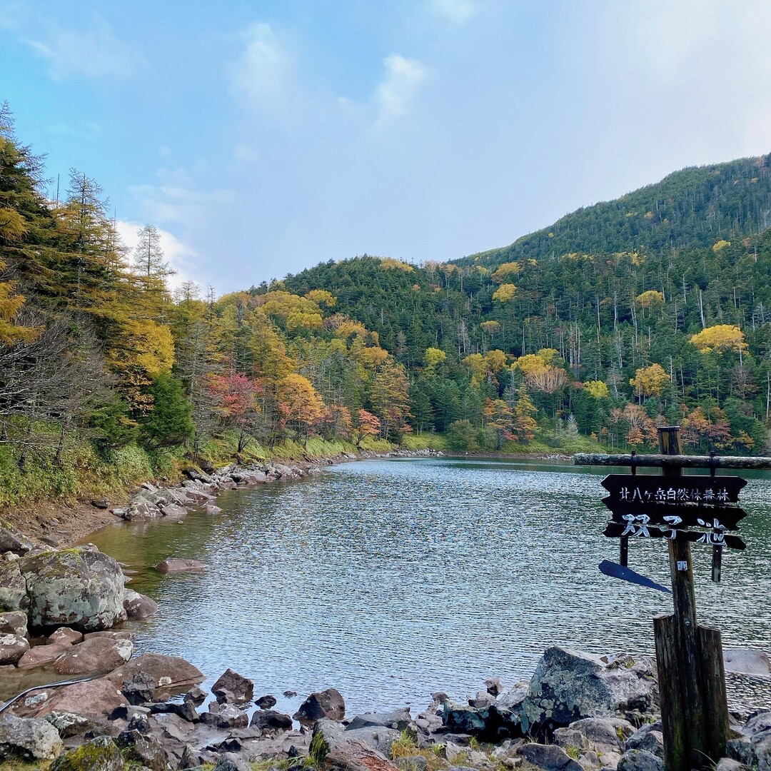 北八ヶ岳⛰️茶臼山・縞枯山・双子山・蓼科山 / ekさんの蓼科山・横岳・縞枯山の活動データ | YAMAP / ヤマップ