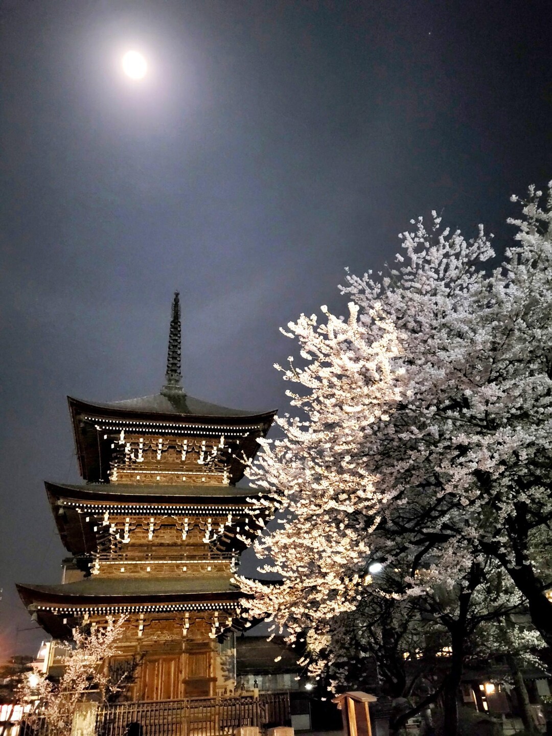 Takayamaの寄り道～時間外の楽しみ... / KATSU🐾さんのモーメント | YAMAP / ヤマップ