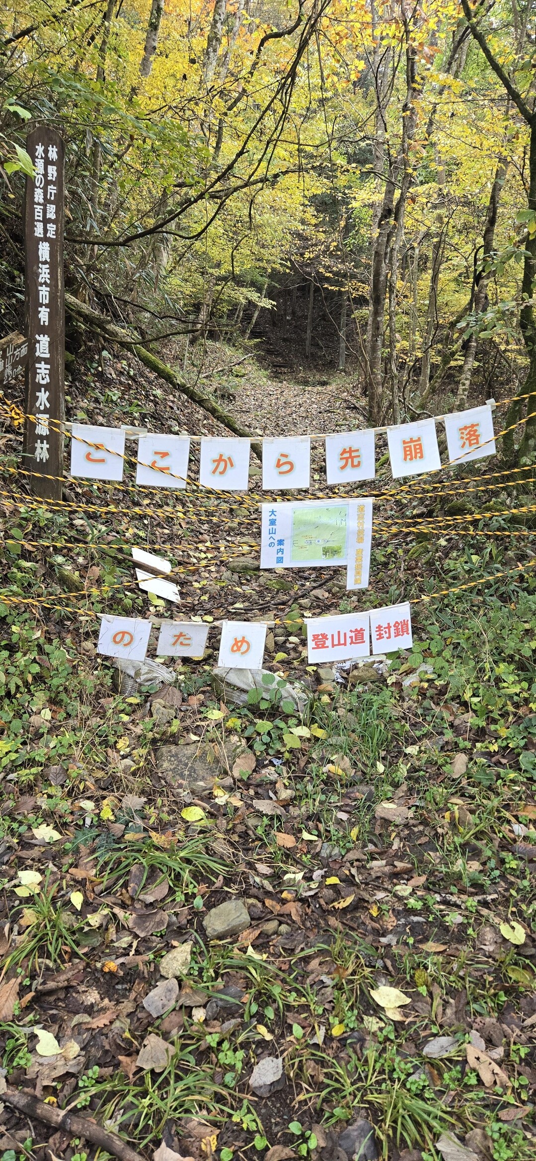 加入道山ピストン / SC30さんの大室山・畦ヶ丸山・菰釣山の活動日記 | YAMAP / ヤマップ