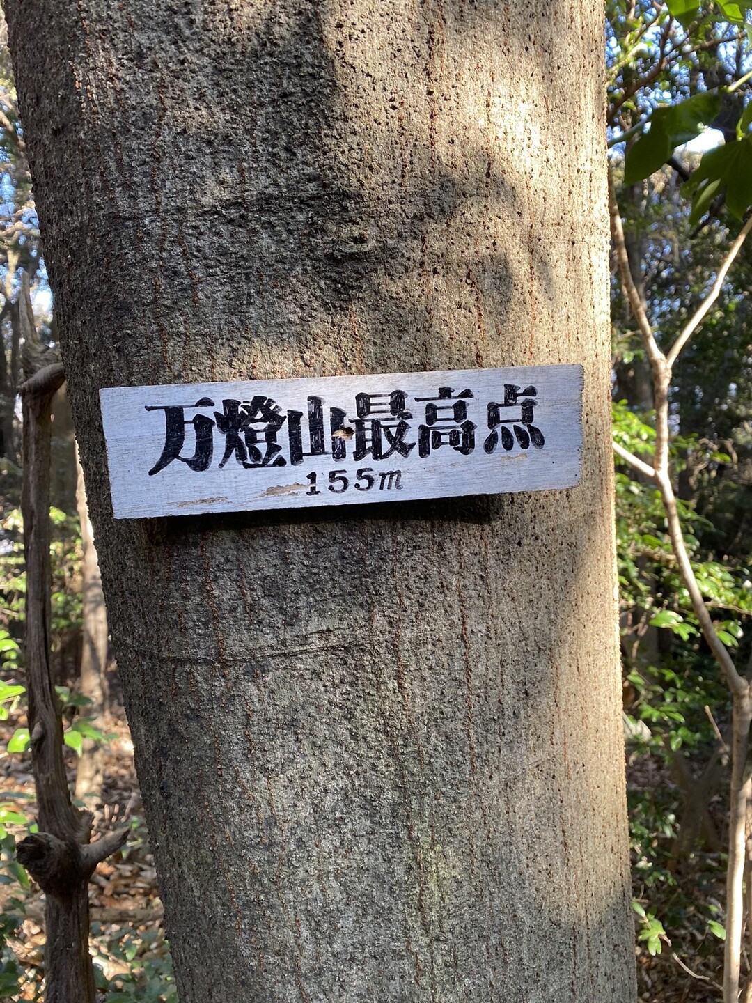 万灯山・万灯山最高点 / 130tさんの茶臼山・万灯山の活動データ | YAMAP / ヤマップ