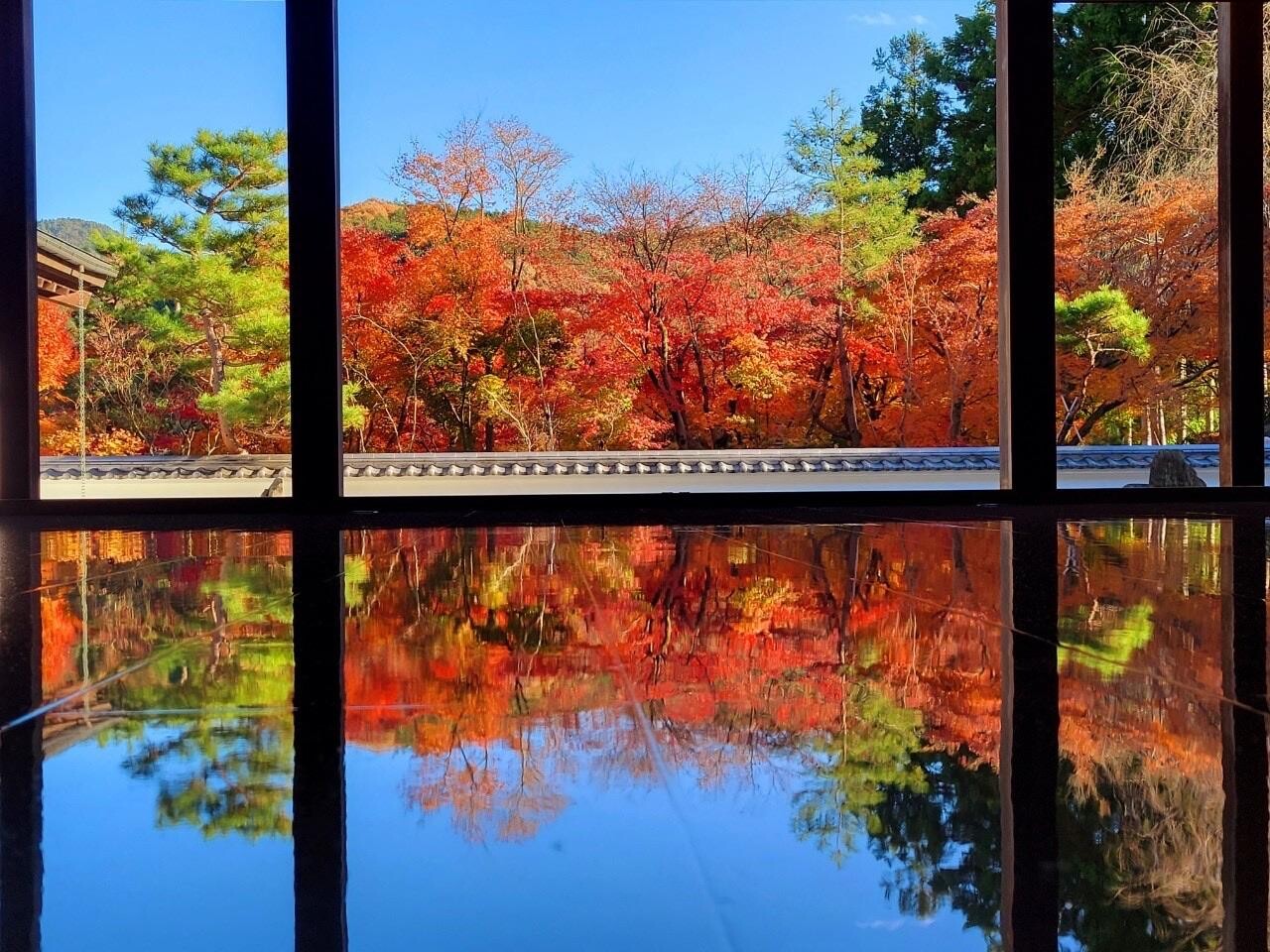 宝徳寺の床もみじ🍁 初めて見に行った... / ナオミンさんのモーメント | YAMAP / ヤマップ