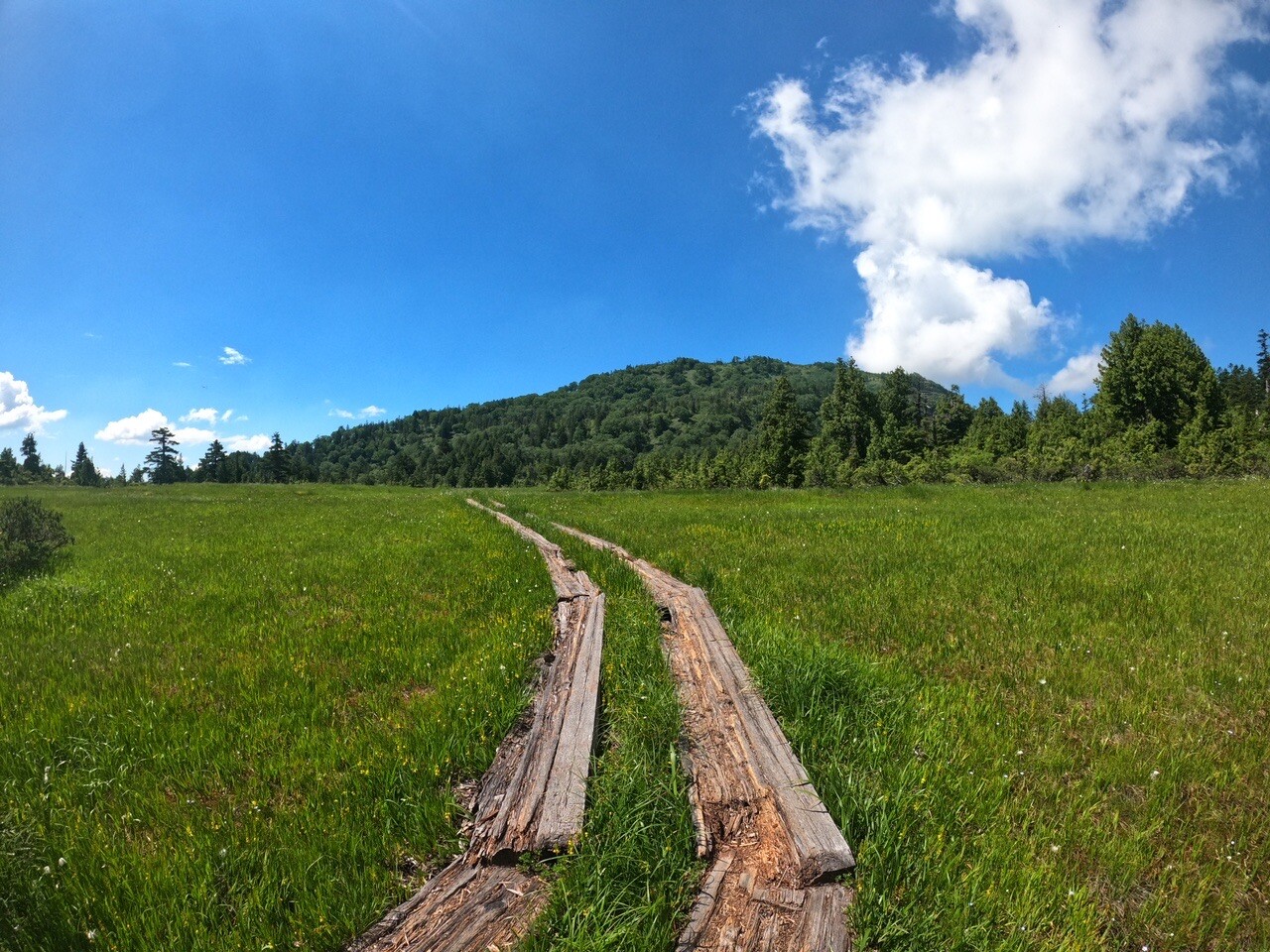 テント泊デビューで燧ヶ岳・尾瀬の生ビールを満喫 / dooooo_canさんの尾瀬・燧ヶ岳の活動データ | YAMAP / ヤマップ