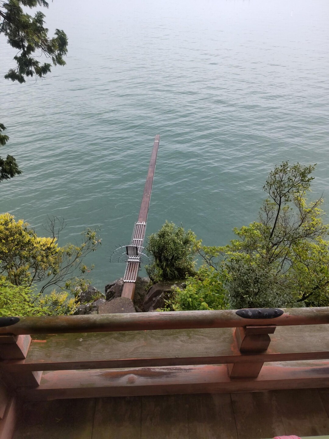 【ビワニ】伊崎山の段(7) / Mt.OKA🎃さんの長命寺山・奥島山・尾山の活動日記 | YAMAP / ヤマップ
