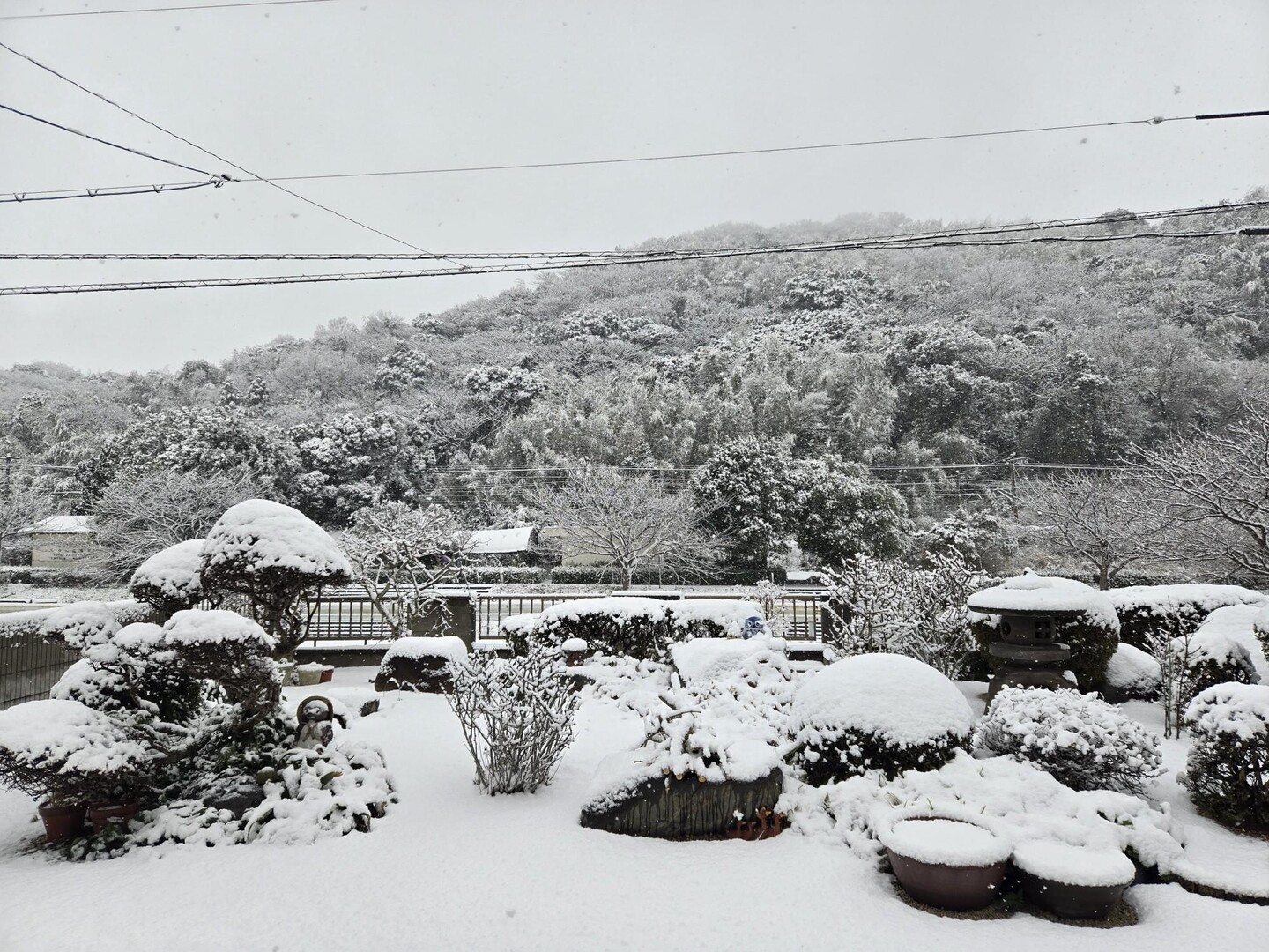 暦の上ではもう春だと言うのに…春とは名の... / Amiババさんのモーメント | YAMAP / ヤマップ