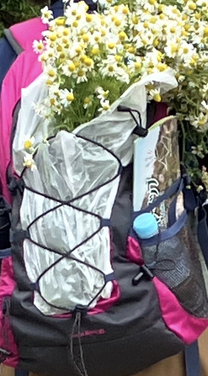 2022.05.17(火) 00:06 / ろんさんのモーメント | YAMAP / ヤマップ