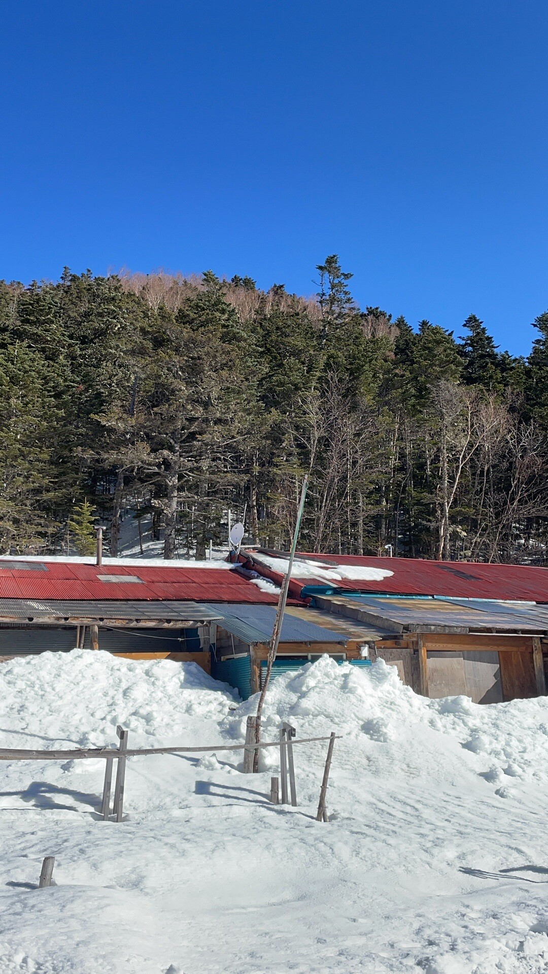 最高だった🤩ので帰りたくないです😂 ... / baruさんのモーメント | YAMAP / ヤマップ