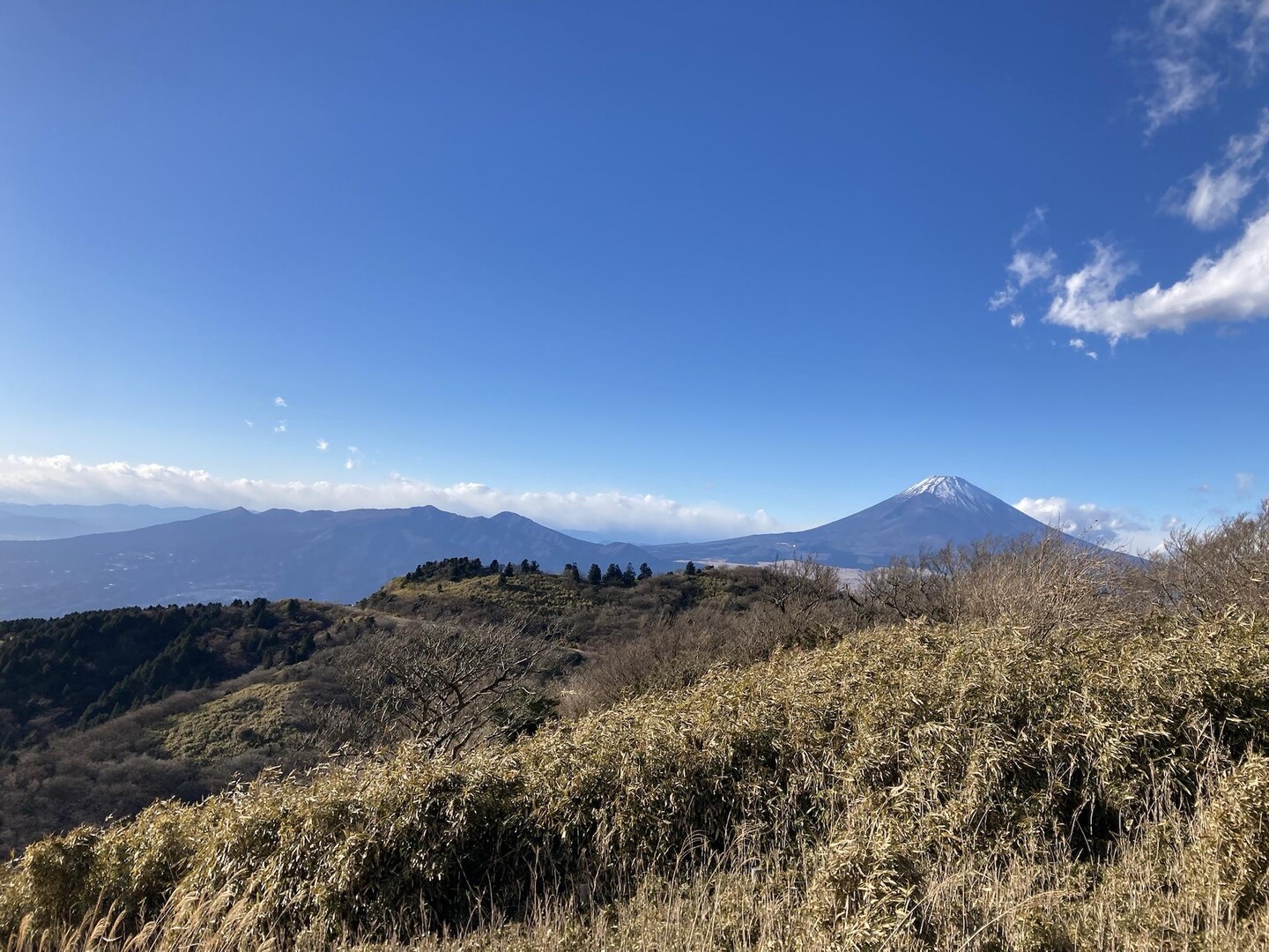 三国山 乙女峠BS〜関所跡BS / 38kicksさんの箱根山・神山の活動データ | YAMAP / ヤマップ
