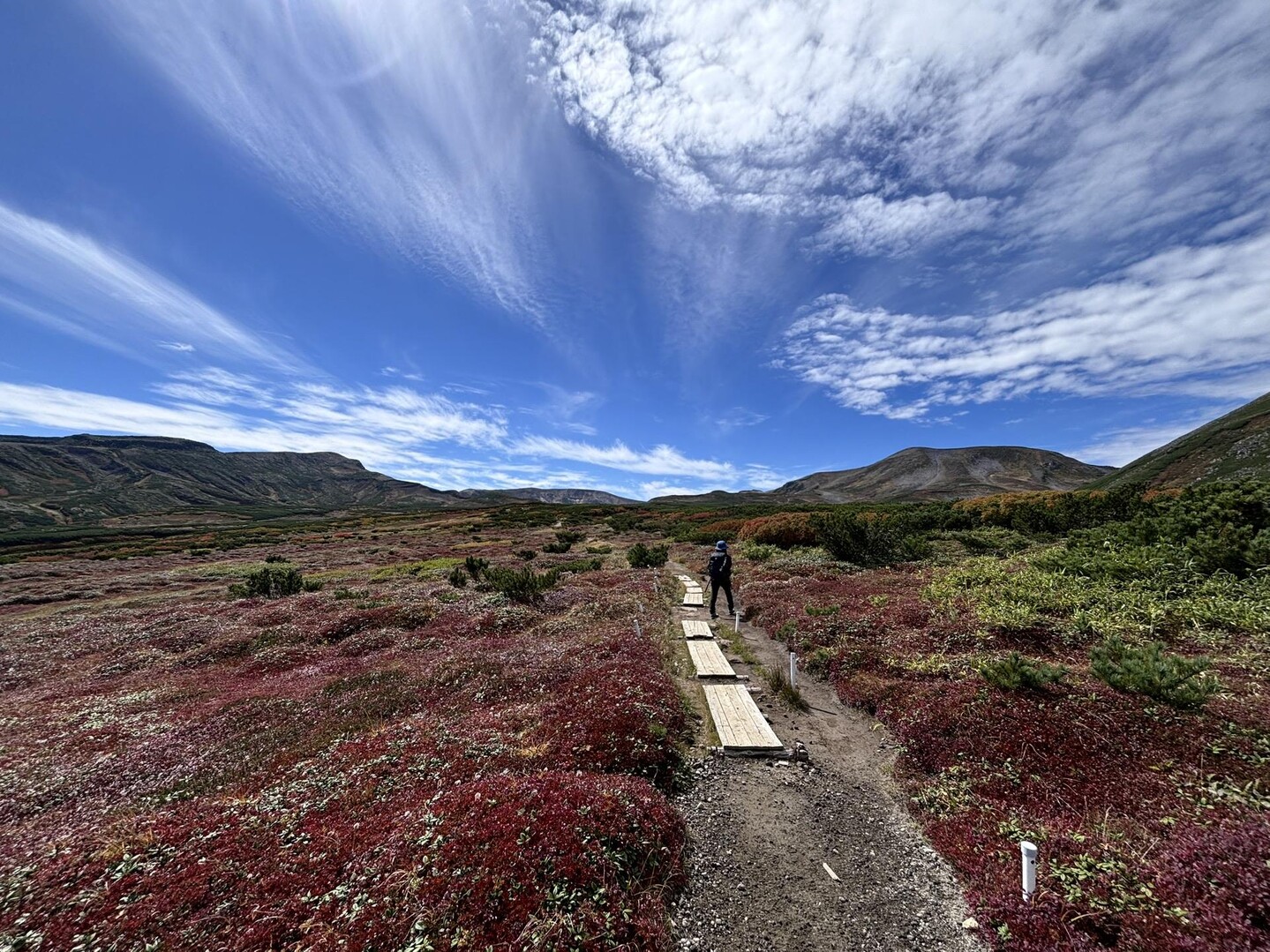 旭岳・間宮岳・荒井岳・松田岳・北海岳・黒岳・北鎮岳・中岳 / tomomiさんの大雪山系・旭岳・トムラウシの活動日記 | YAMAP / ヤマップ