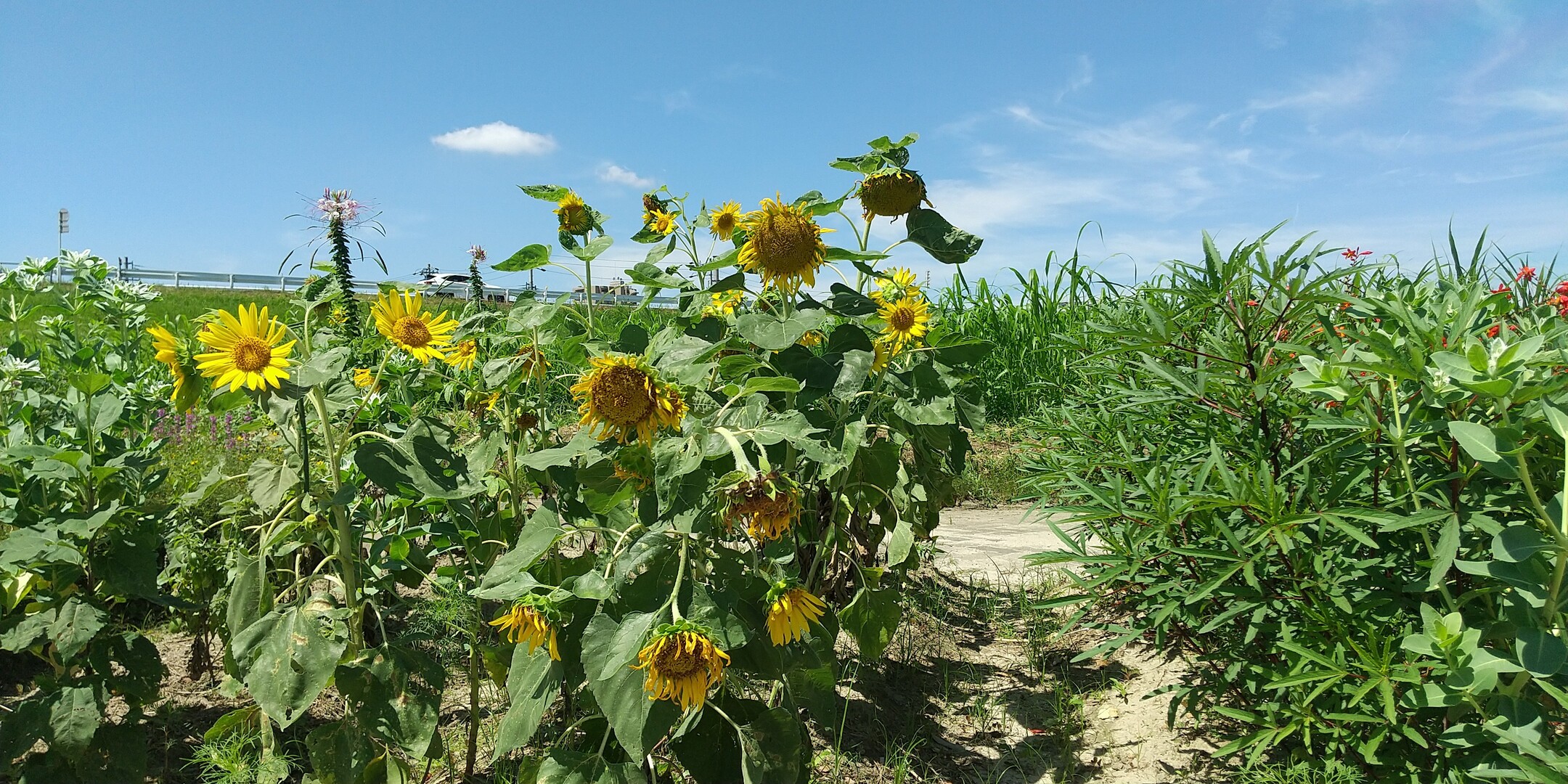 夜勤前のルーティン☺️ / hottyさんのランニングの活動日記 | YAMAP / ヤマップ