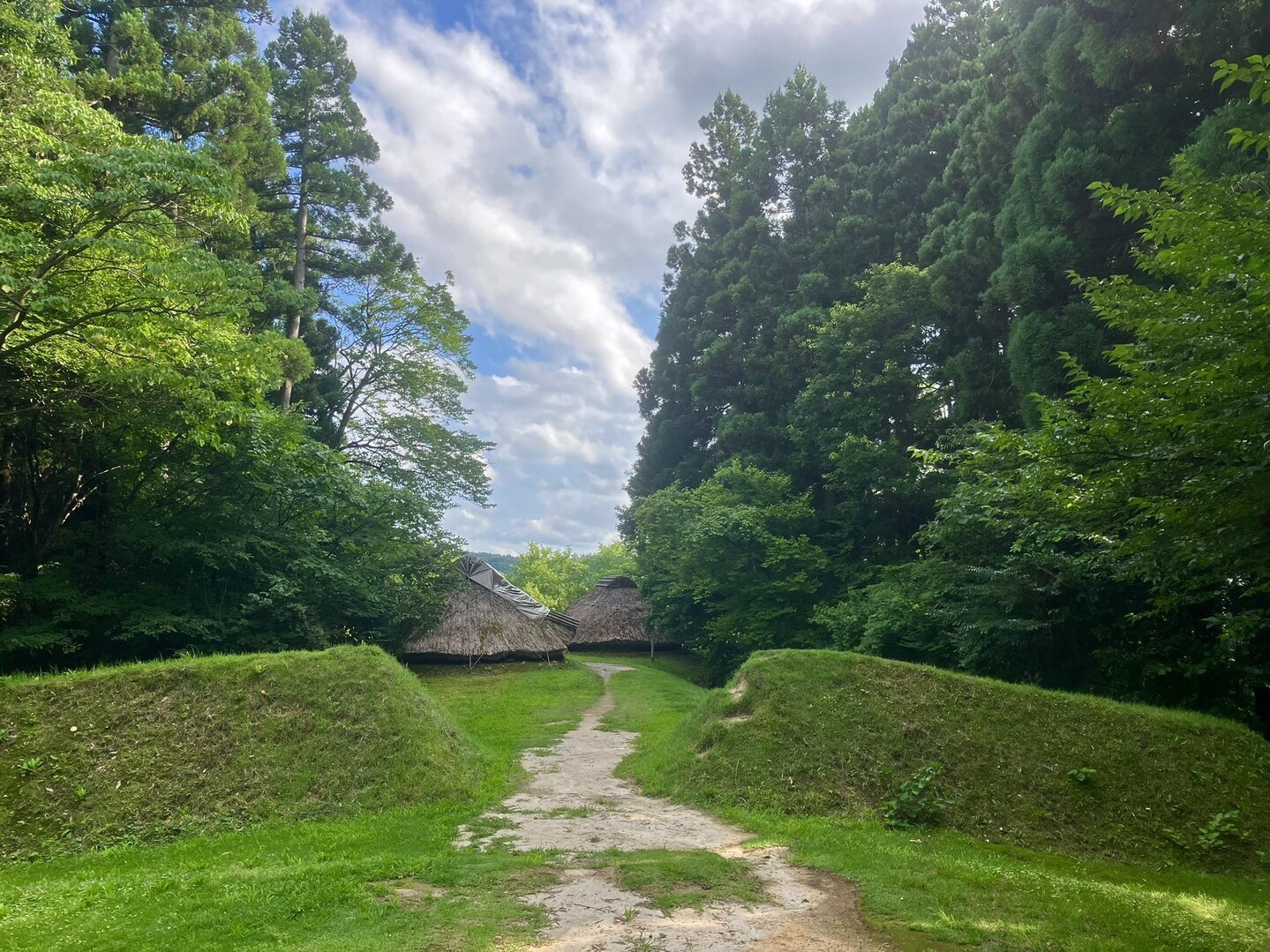 元気がいいのは、、、🌿 ︎県立植物園 / Naluさんの菩提寺山・高立山・護摩堂山の活動データ | YAMAP / ヤマップ