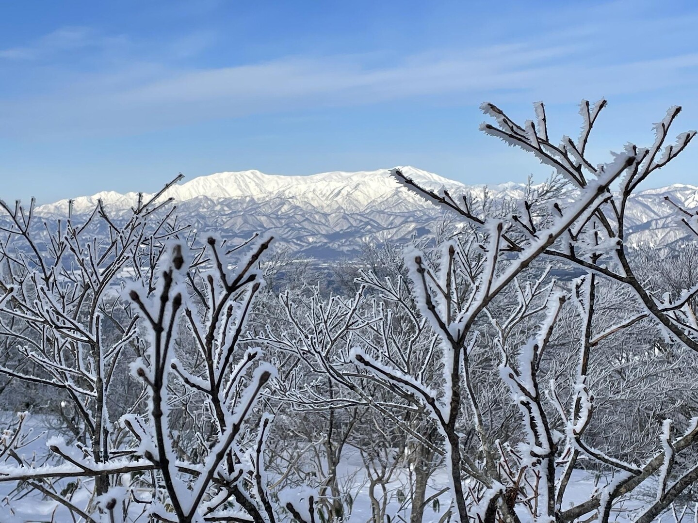 雄国山 / cobalt さんの磐梯山・雄国山・赤埴山の活動データ | YAMAP / ヤマップ