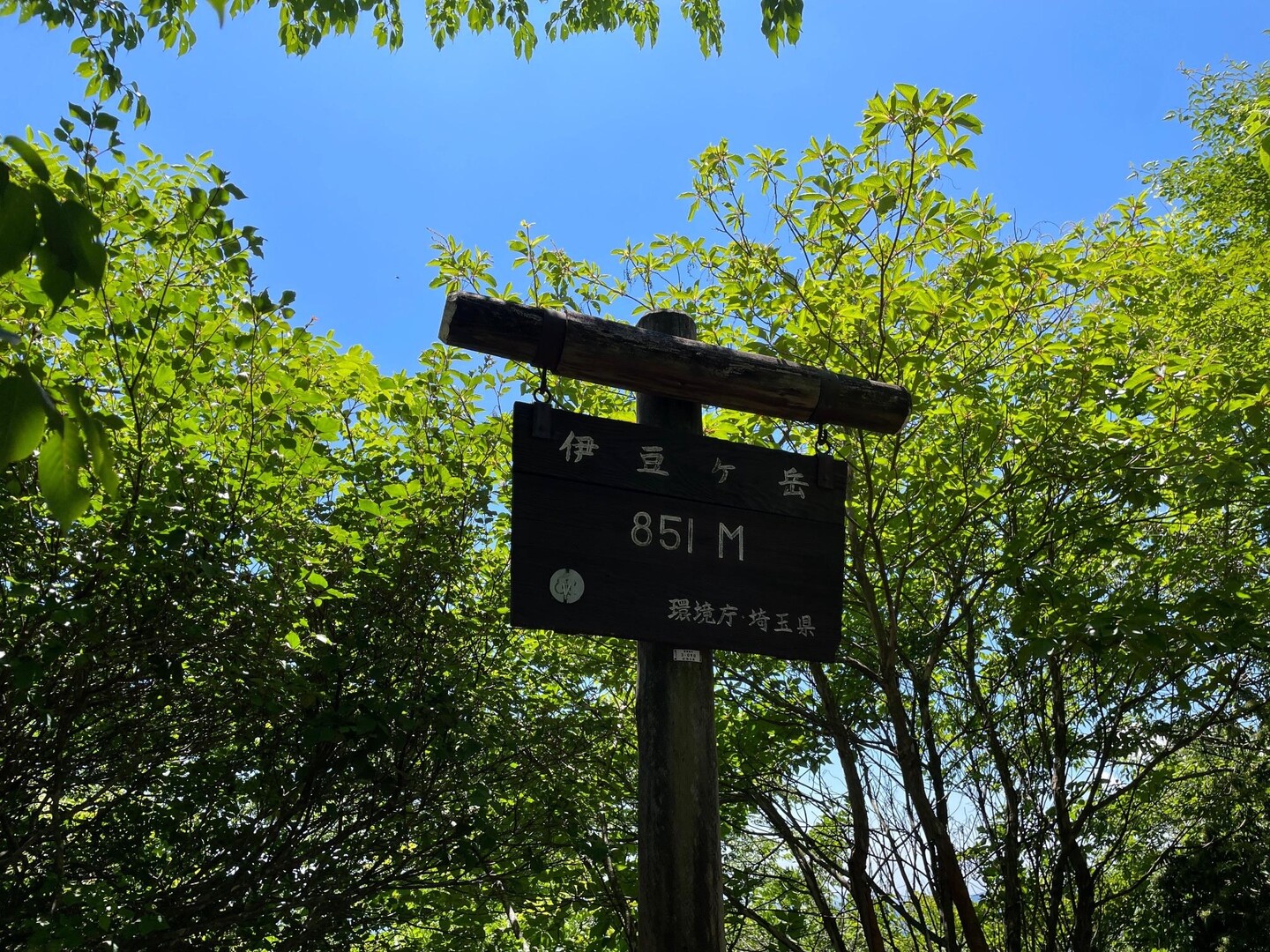 五輪山・伊豆ヶ岳・大蔵山・小高山 / maxさんの武甲山・伊豆ヶ岳・小持山の活動データ | YAMAP / ヤマップ