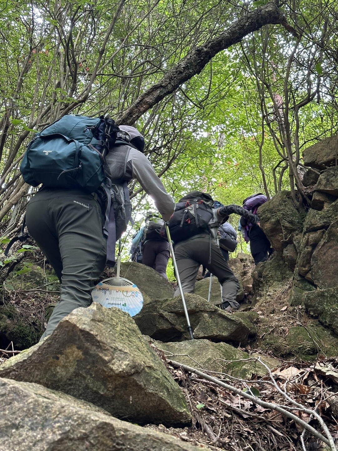 裏六甲 地獄谷西尾根へGO‼️ / ryosui_ さんの六甲山・長峰山・摩耶山の活動データ | YAMAP / ヤマップ