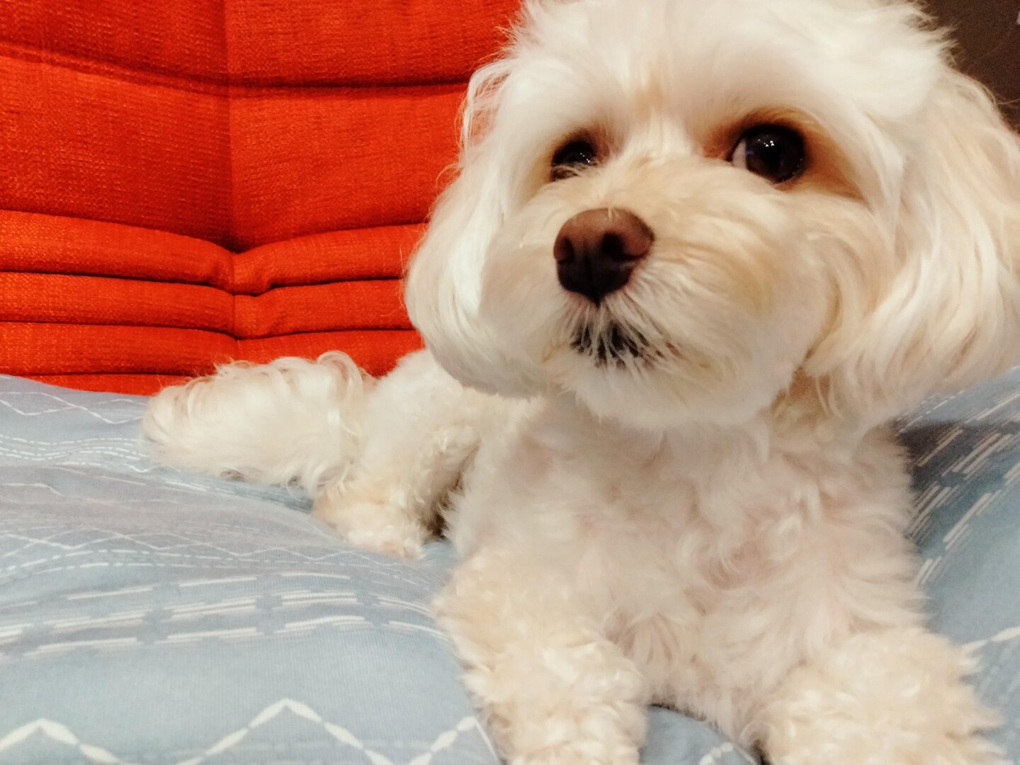 soraのページ | YAMAP / ヤマップ