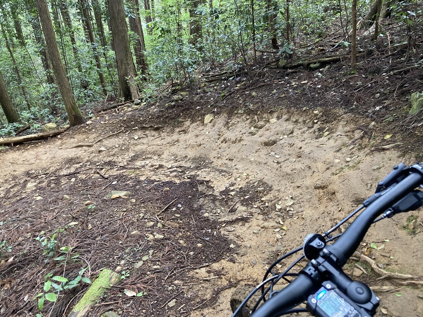 阿寺MTBコース トレーニング-2022-05-15 / yuziさんの宇連山・鳳来寺山・岩古谷山の活動データ | YAMAP / ヤマップ