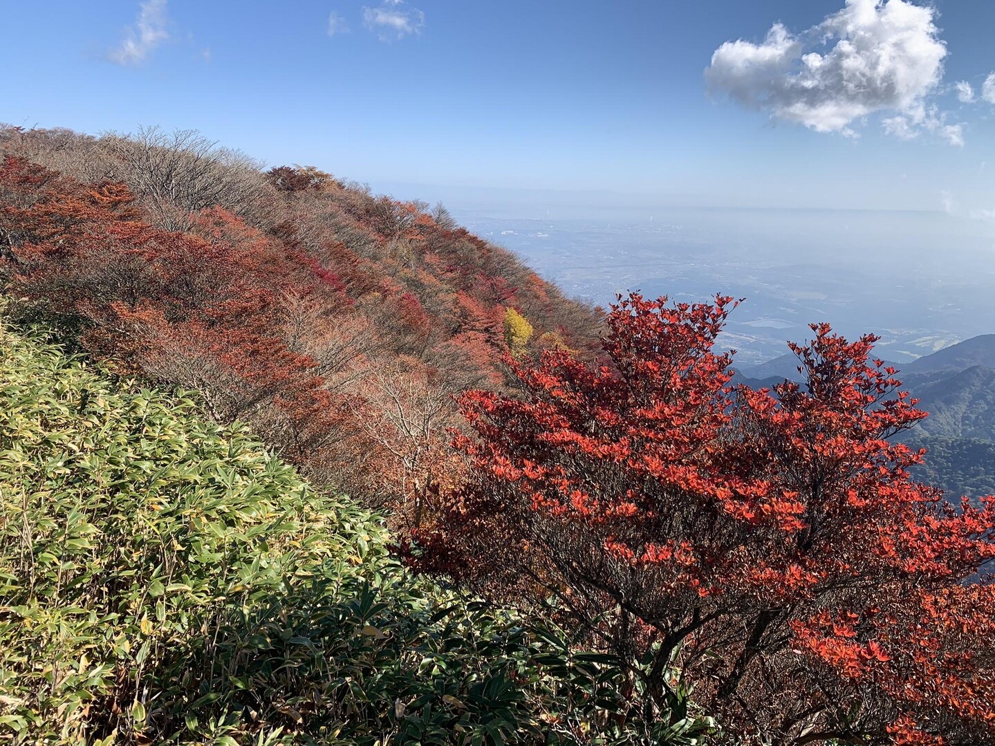 11月3日にズルしてロープウェイで御在所... / junさんのモーメント | YAMAP / ヤマップ