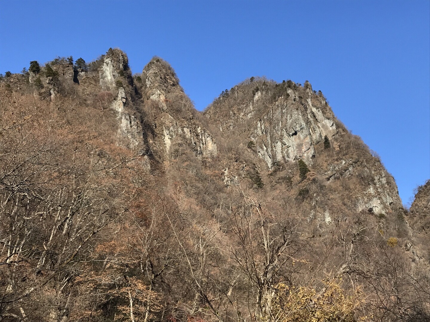 妙義山 ハイキング -2019-12-08 / jittaさんの妙義山・天狗岳・相馬岳の活動データ | YAMAP / ヤマップ