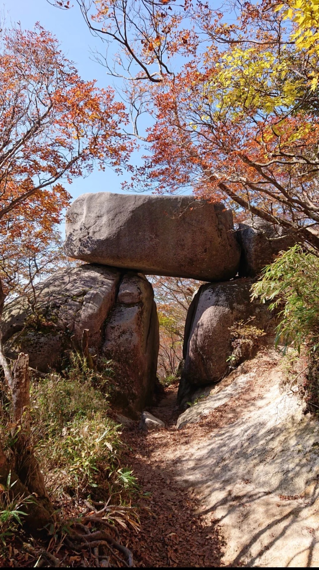 yuniiiさんの投稿したフィールドメモ | YAMAP / ヤマップ