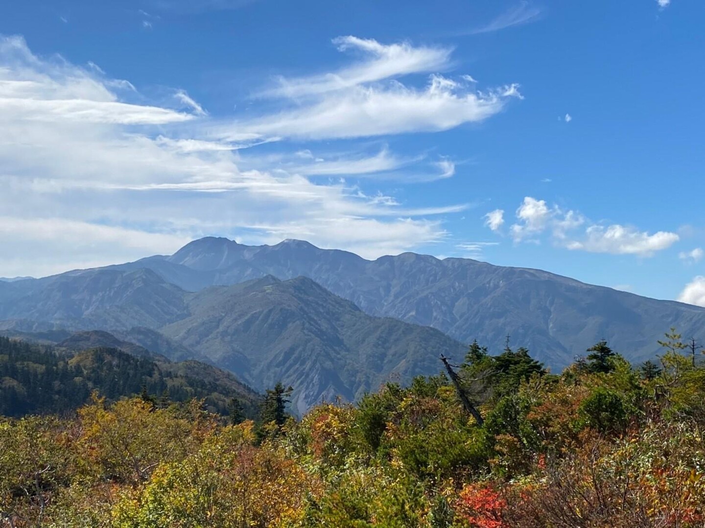 三方岩岳・馬狩荘司山・野谷荘司山 / sonomin-minさんの三方岩岳・妙法山の活動データ | YAMAP / ヤマップ