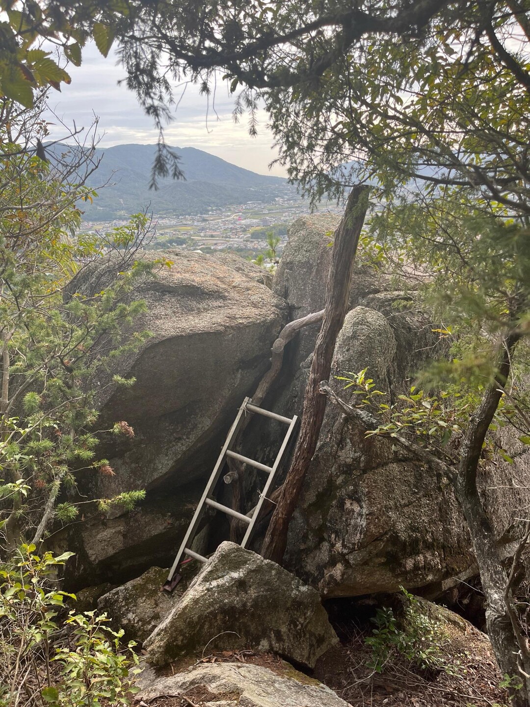 金剛山 / mirereさんの岩幕山の活動データ | YAMAP / ヤマップ