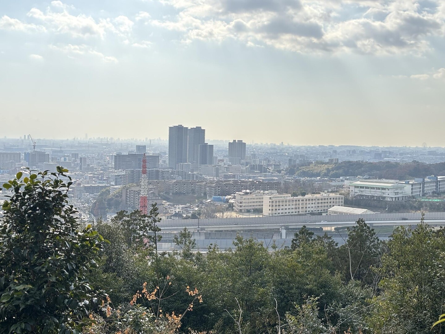 磐手橋BS→学校林→若山→若山神社⛩→島本駅[動画あり] / まさちんさんのポンポン山・釈迦岳・小塩山・若山の活動日記 | YAMAP / ヤマップ