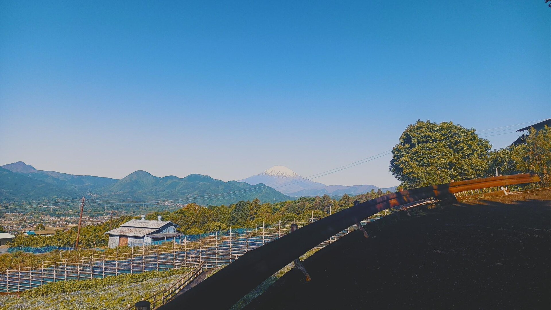 新松田駅から大野山を目指して 帰りは谷峨駅へ / man forestさんの高松山・大野山の活動データ | YAMAP / ヤマップ