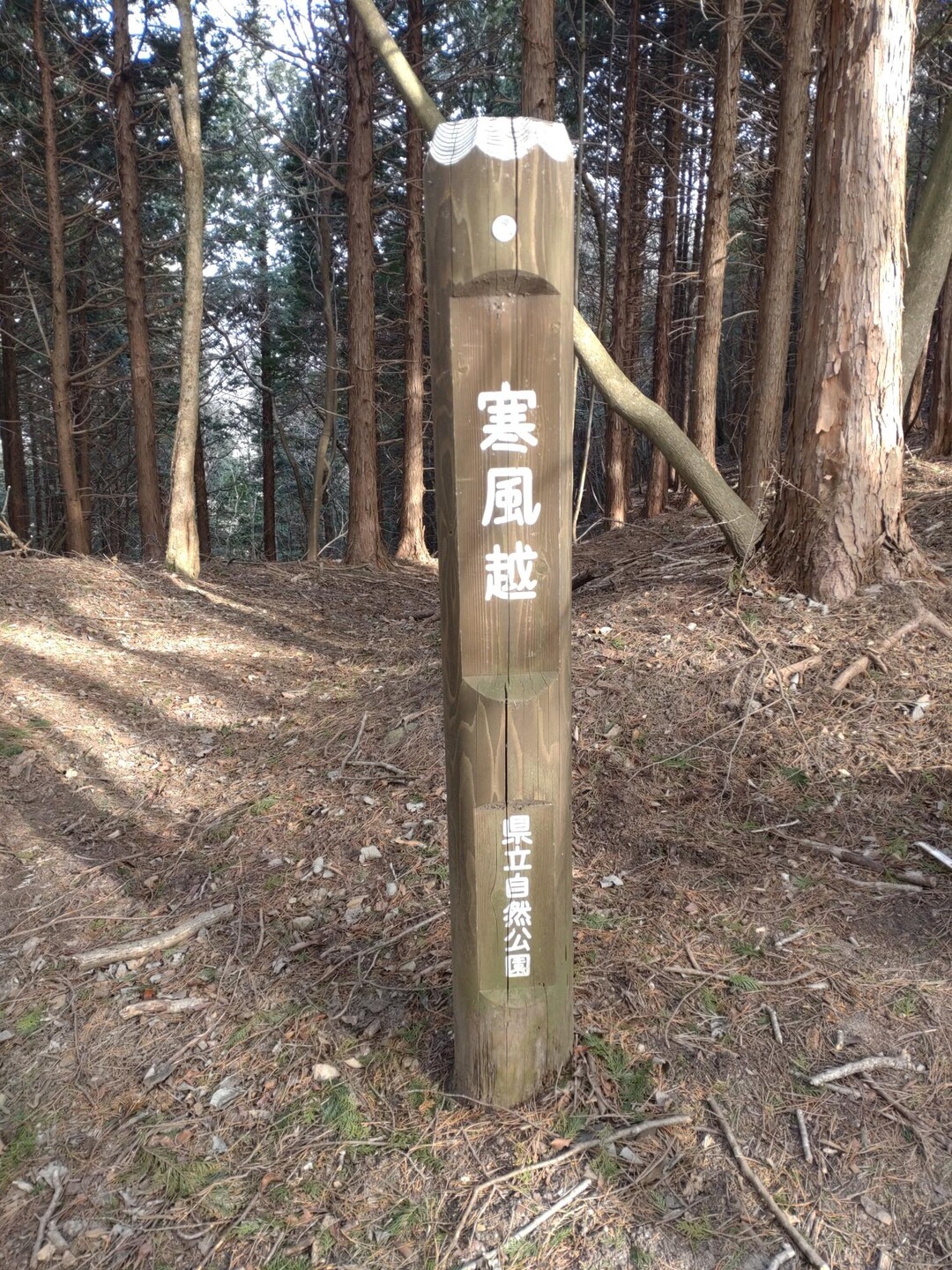 竜王山寒風越 / El Cóndor Pasaさんの竜王山（讃岐山脈）・大川山の活動データ | YAMAP / ヤマップ