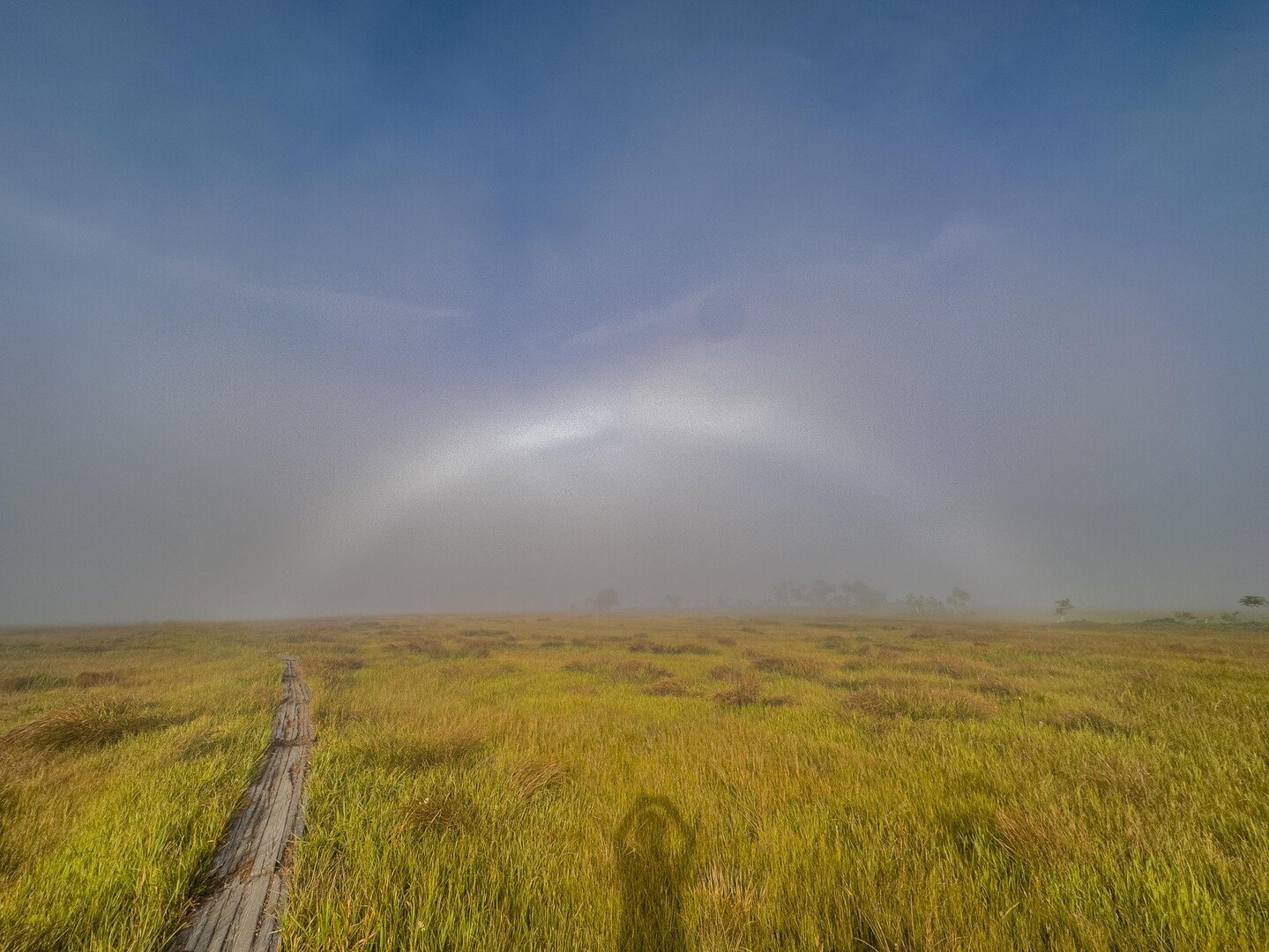 アヤメ平の草紅葉はまだ早かった…でも満足！ / Italさんの尾瀬・燧ヶ岳の活動データ | YAMAP / ヤマップ