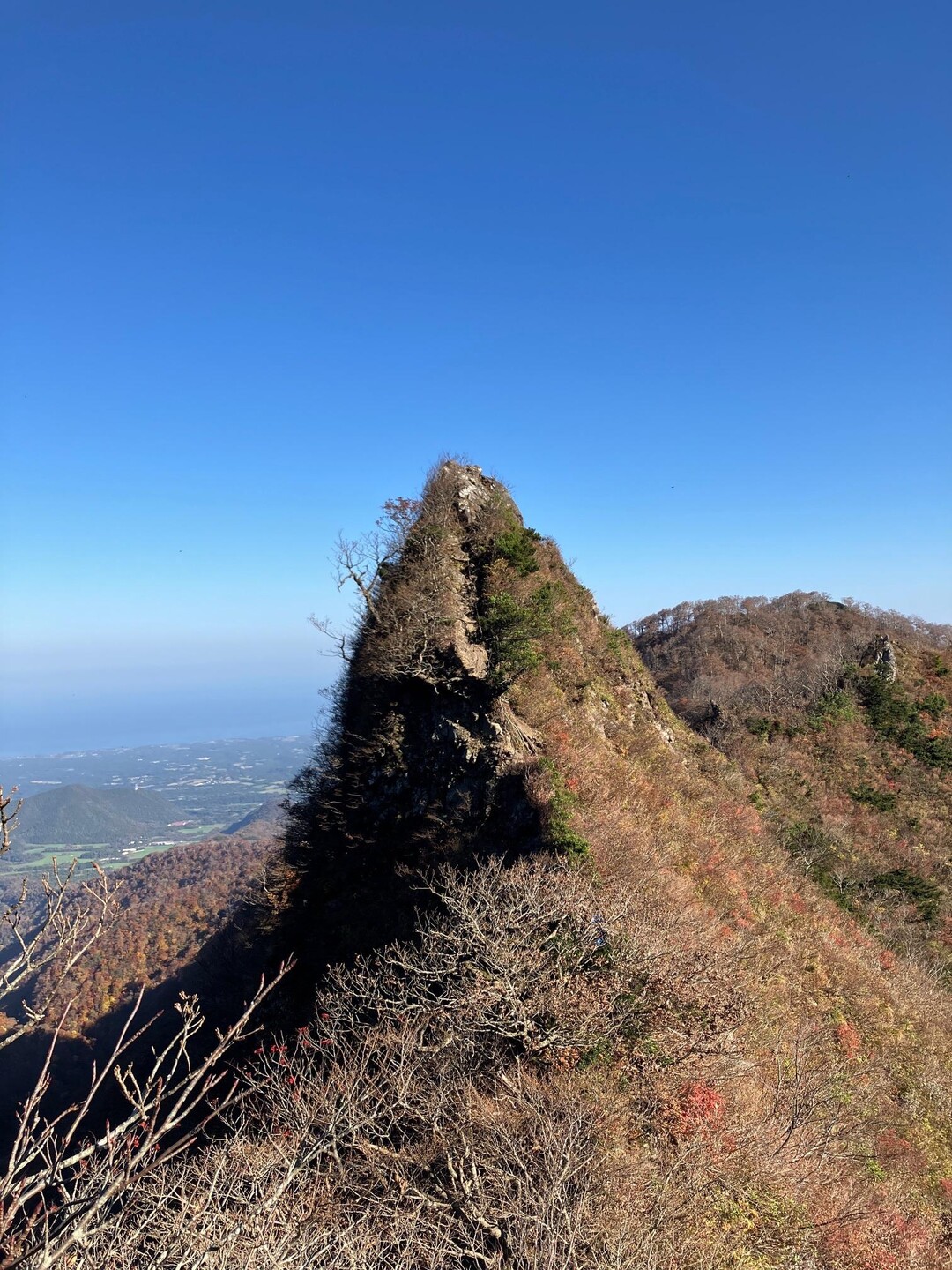 大山山系とんがりピークサミット①⛰宝珠山・三鈷峰・象ヶ鼻・振子山・野田ヶ山・矢筈ヶ山・甲ヶ山 / totoさんの大山・甲ヶ山・野田ヶ山の活動データ | YAMAP / ヤマップ