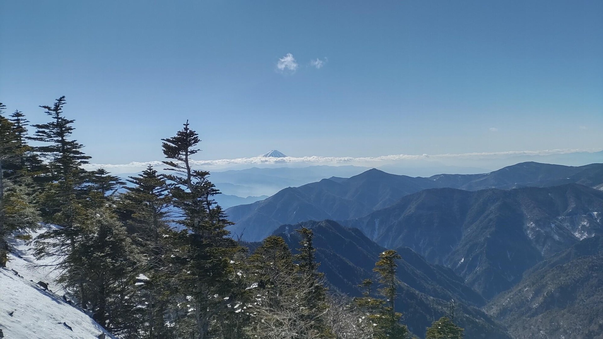 甲武信ヶ岳～三宝山にはたどり着けず / YASUさんの甲武信ヶ岳の活動データ | YAMAP / ヤマップ