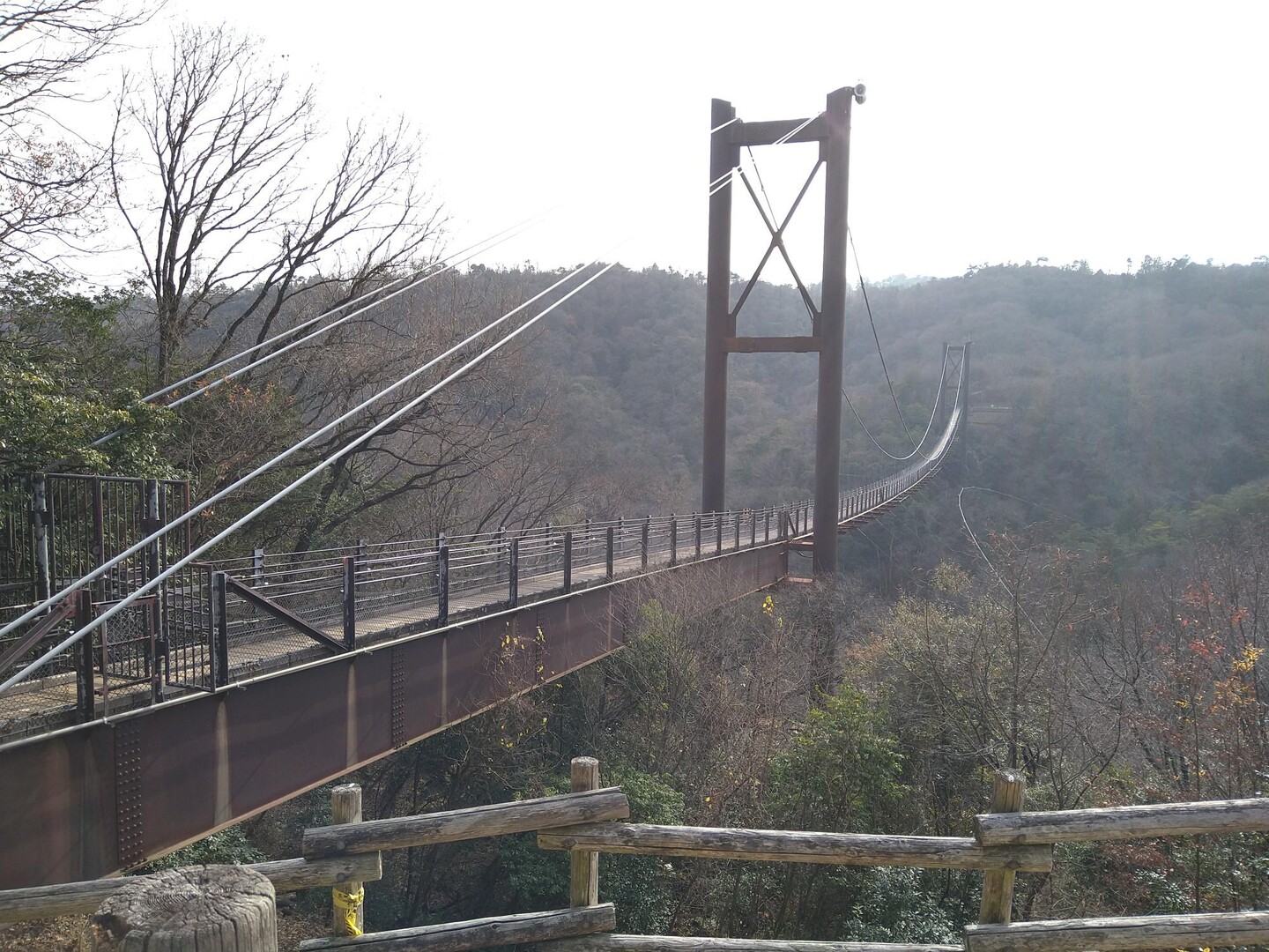 登り納め 星田連山 / lightさんの交野山・国見山の活動データ | YAMAP / ヤマップ