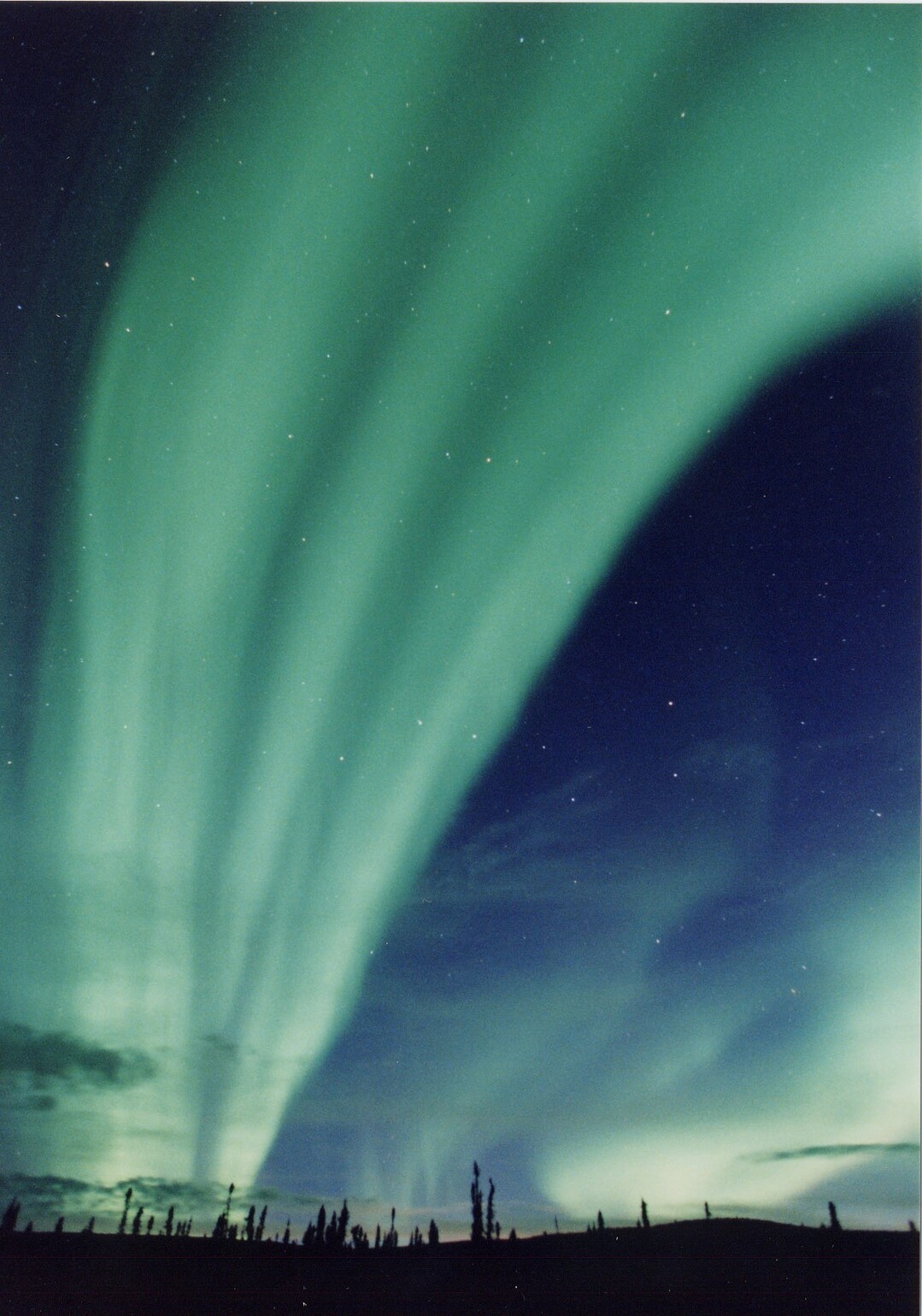 こんなオーロラが、アラスカでは見られてい... / KAZUさんのモーメント | YAMAP / ヤマップ