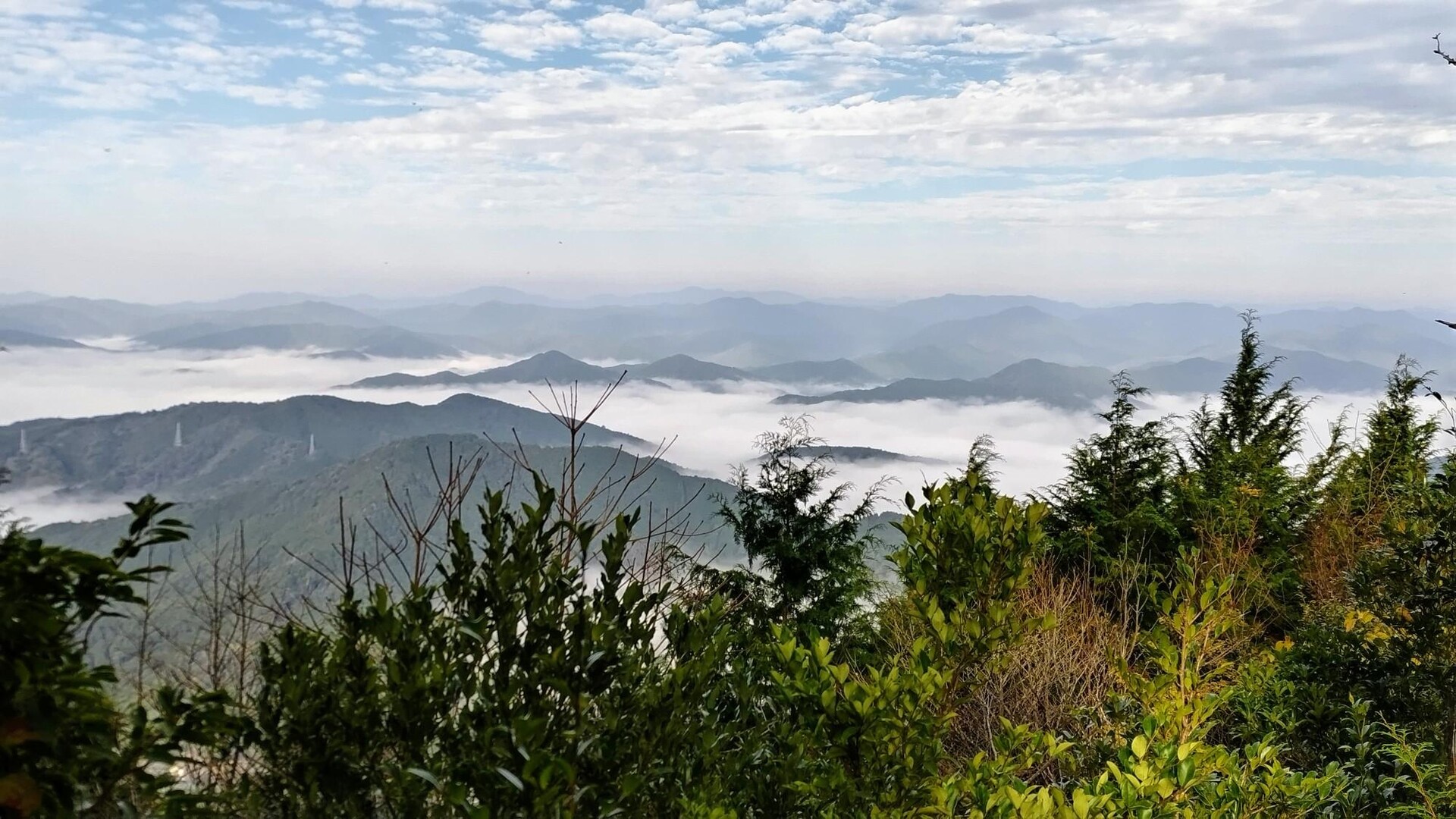 16年振り 五在所ノ峯 / kamatyさんの五在所ノ峯の活動データ | YAMAP / ヤマップ