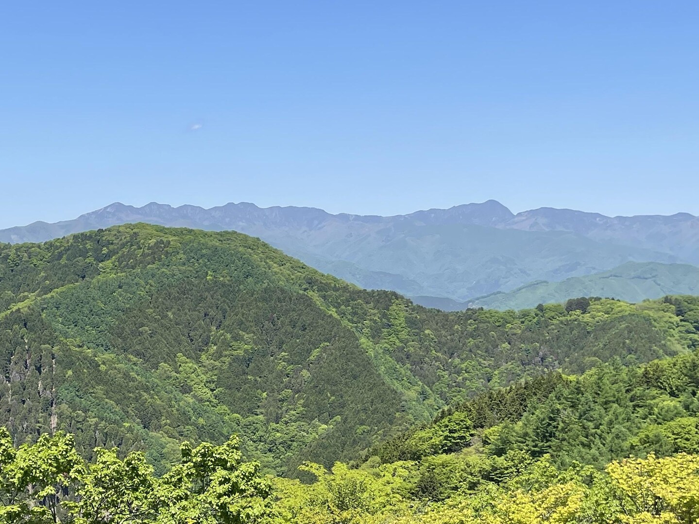 根本山・十二山・熊鷹山 / KAY-Zさんの根本山・熊鷹山・氷室山の活動データ | YAMAP / ヤマップ