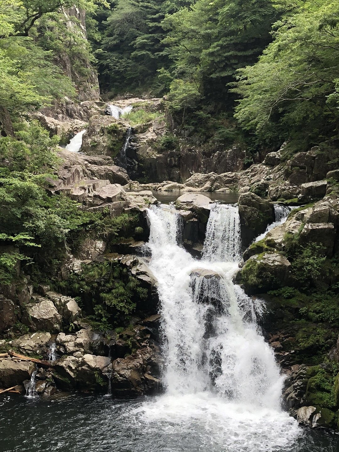 三段峡-2023-07-22 / オヨウさんの三段峡の活動データ | YAMAP / ヤマップ