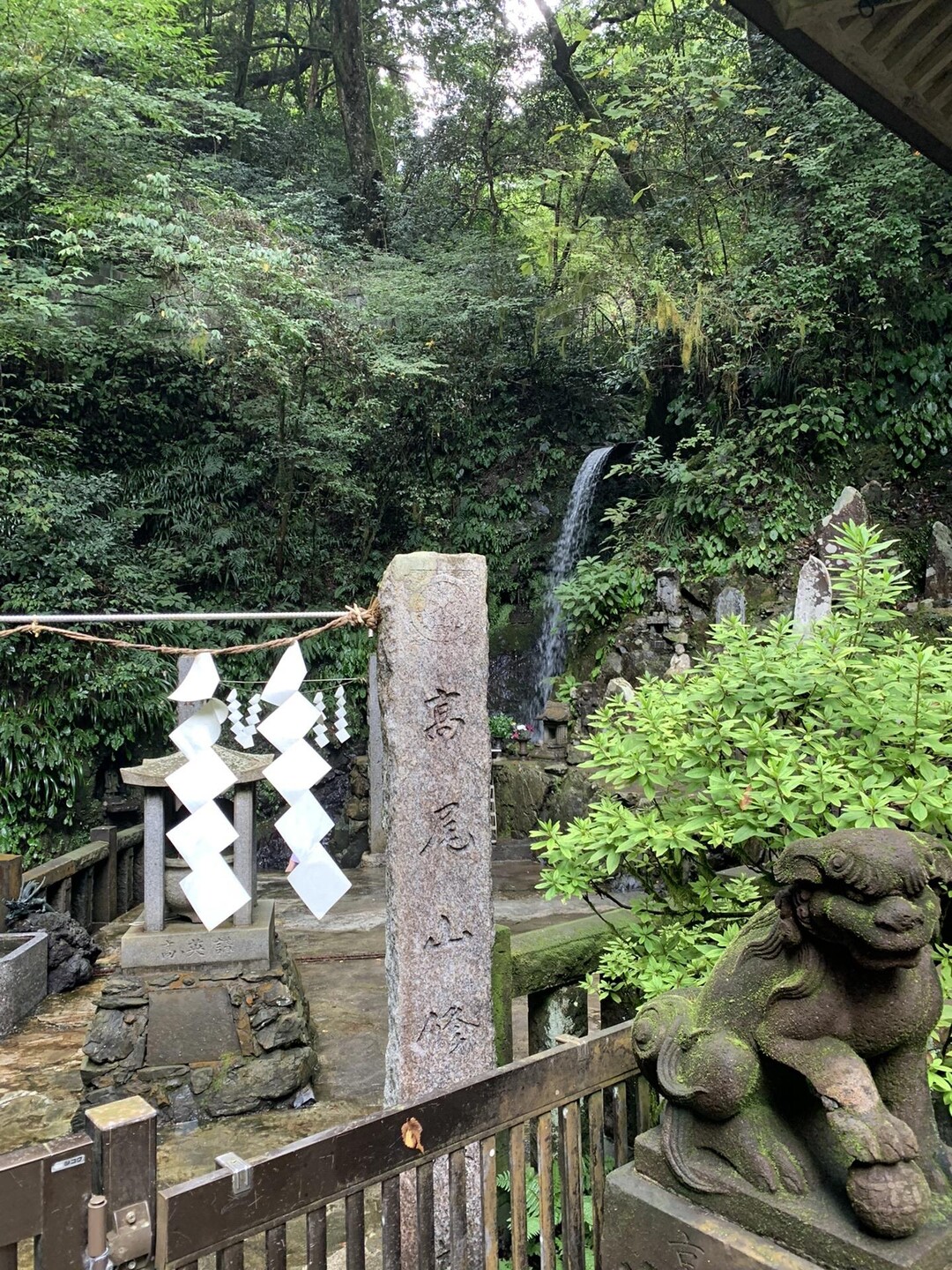 高尾山 / Highwindさんの高尾山・陣馬山・景信山の活動データ | YAMAP / ヤマップ