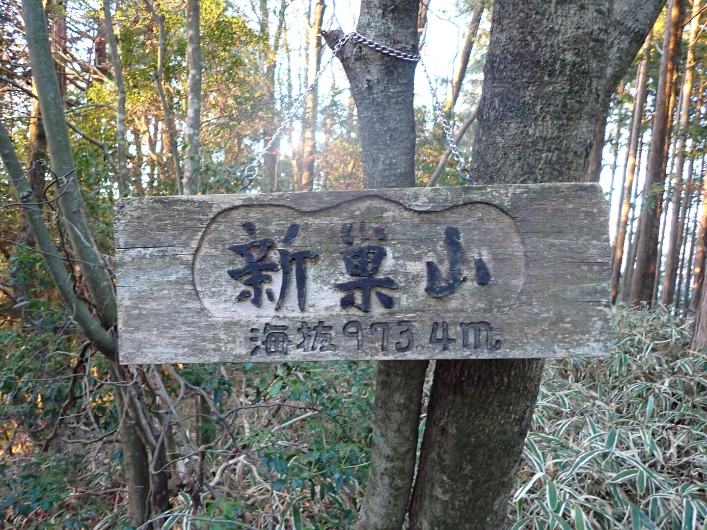 新巣山 続ぎふ百山編 / ヒロキさんの二ッ森山の活動データ | YAMAP / ヤマップ