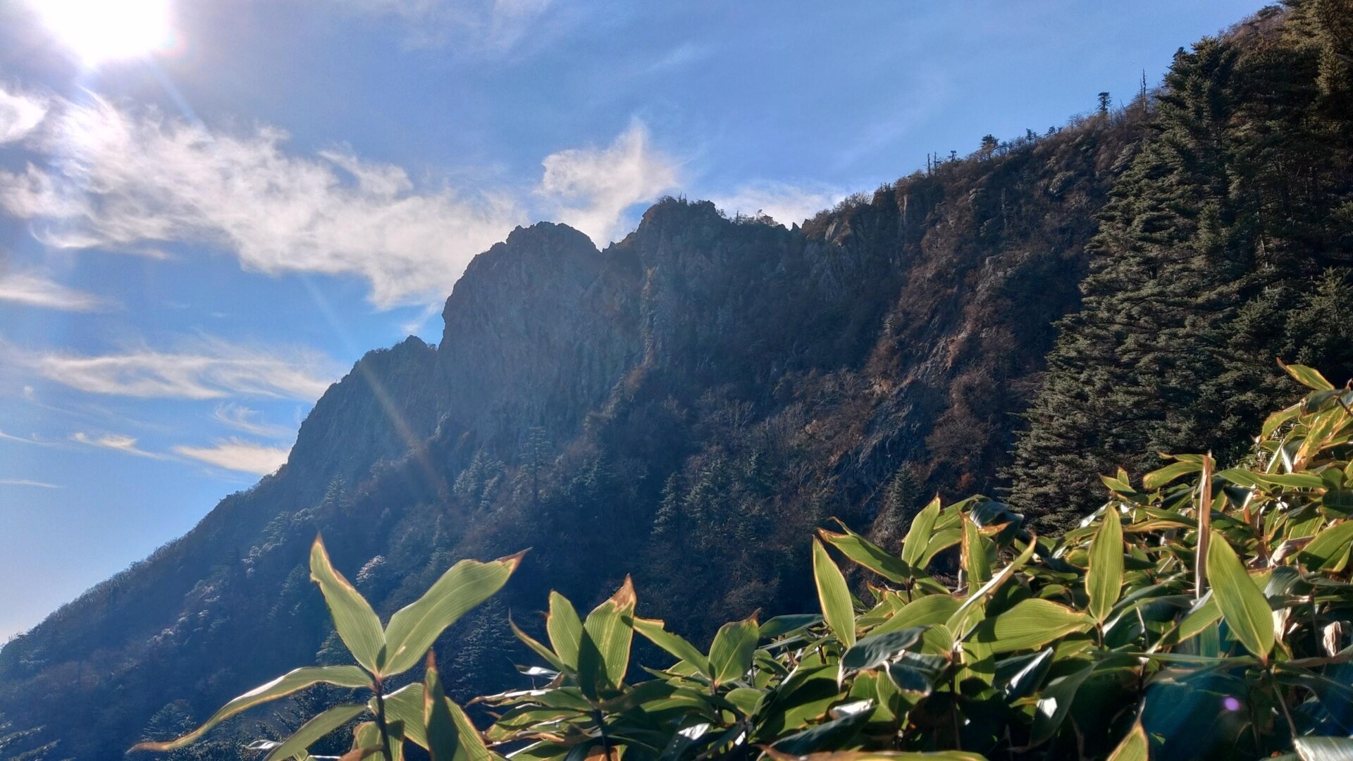石鎚山・天狗岳・南尖峰そして🌈縁石槌(えにしいしづち) / 6Kのパンチョさんの石鎚山・堂ヶ森・二ノ森の活動日記 | YAMAP / ヤマップ
