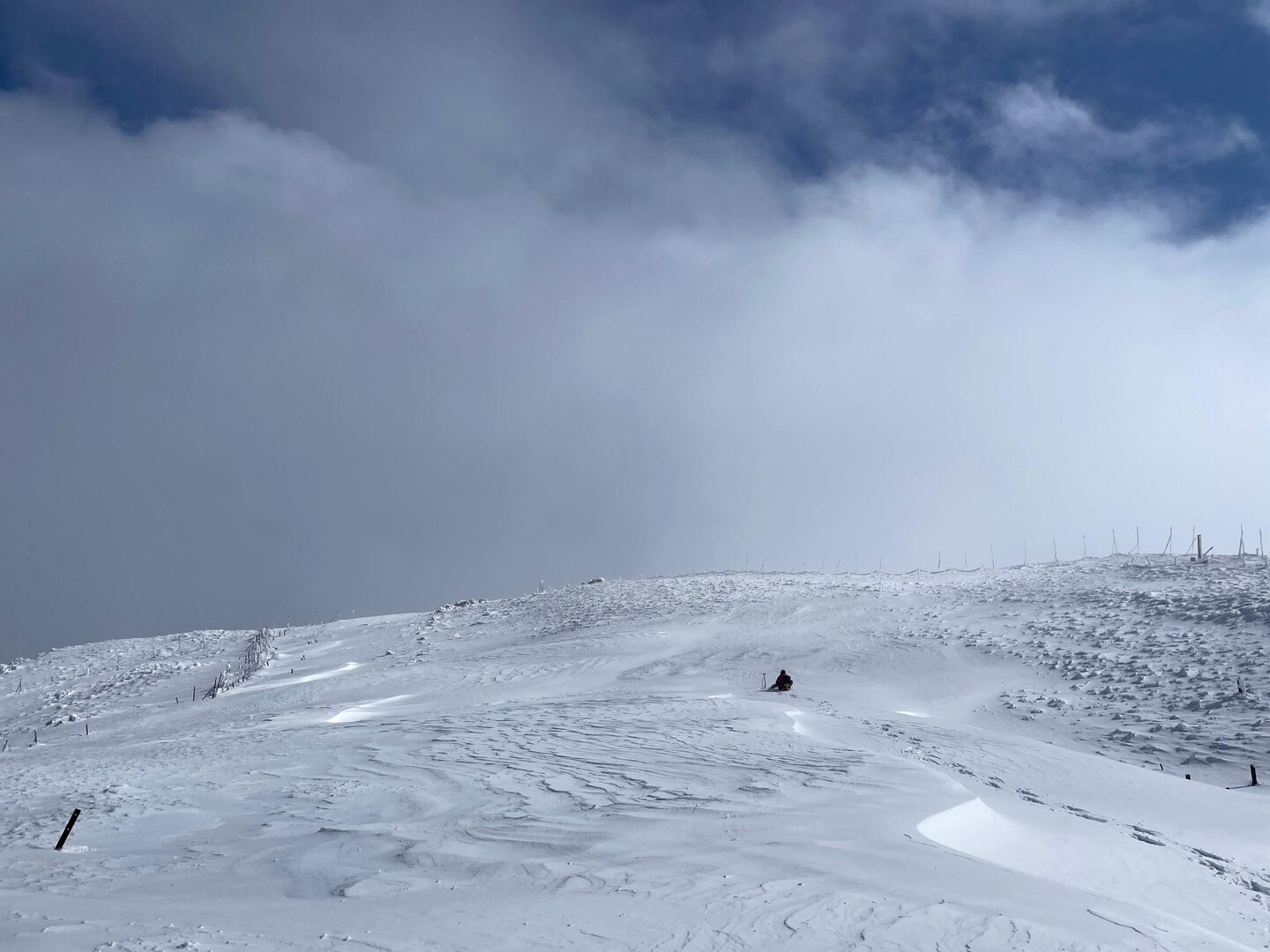 徳蔵山・伊吹山 / magukoさんの伊吹山・伊吹高原・御座峰の活動データ | YAMAP / ヤマップ